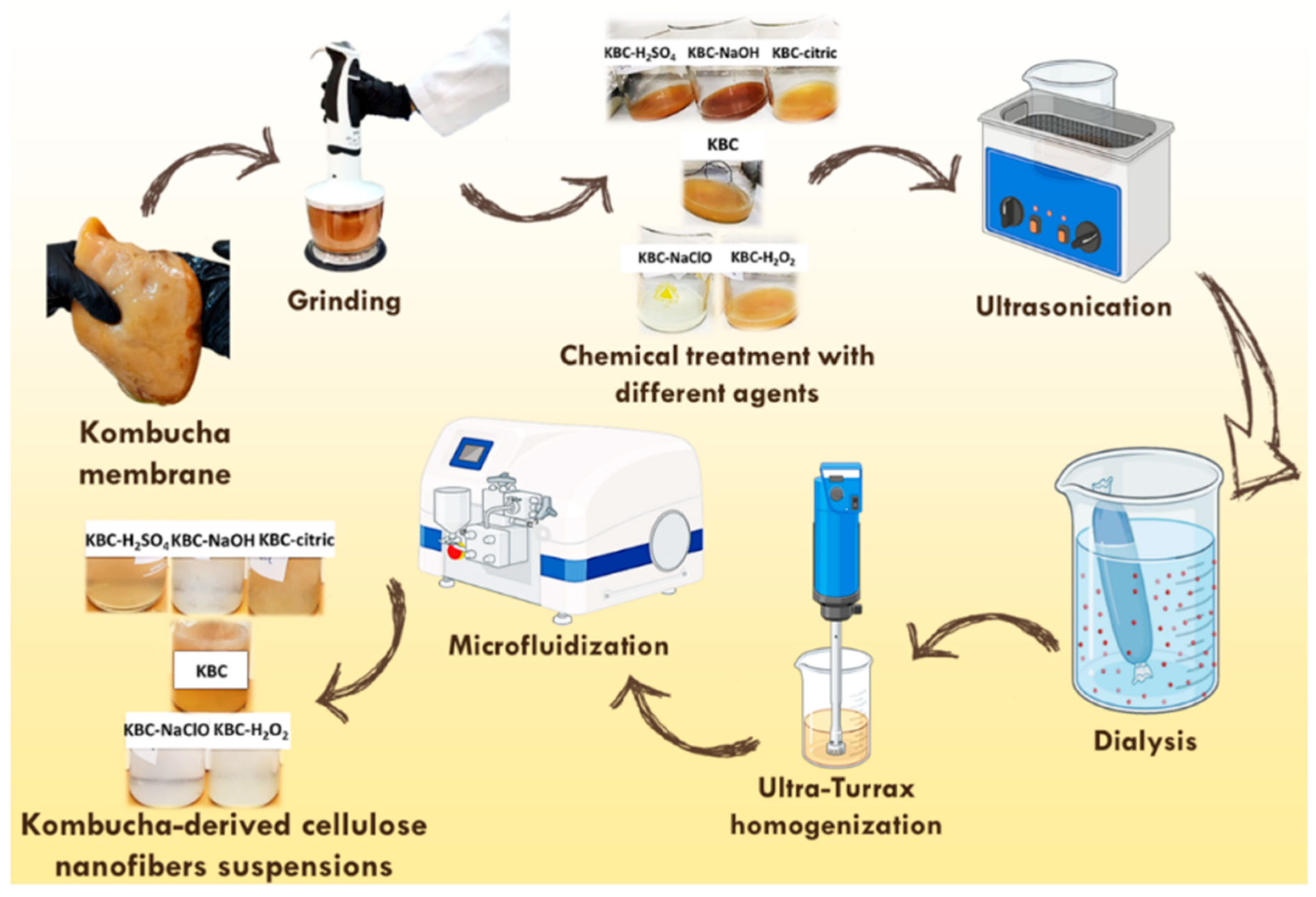 Isolation of Cellulose Nanofibers from Kombucha Beverage By-Product by ...