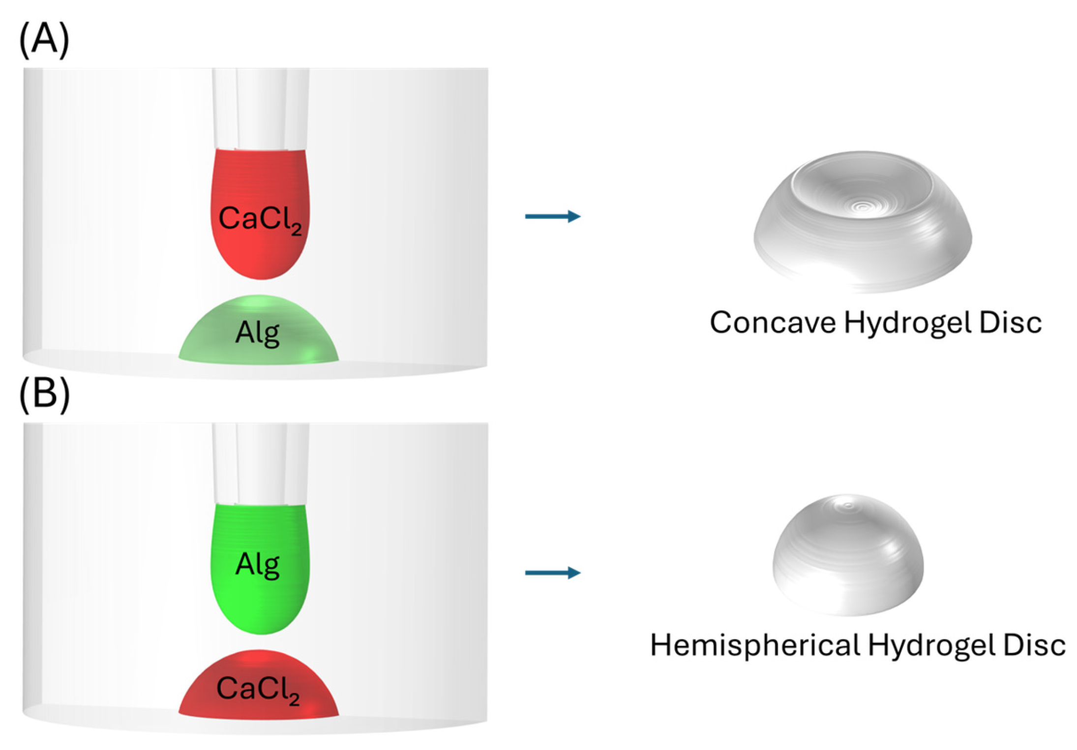 Interfacial Dynamics in the Fabrication of Various Concave Hydrogel ...