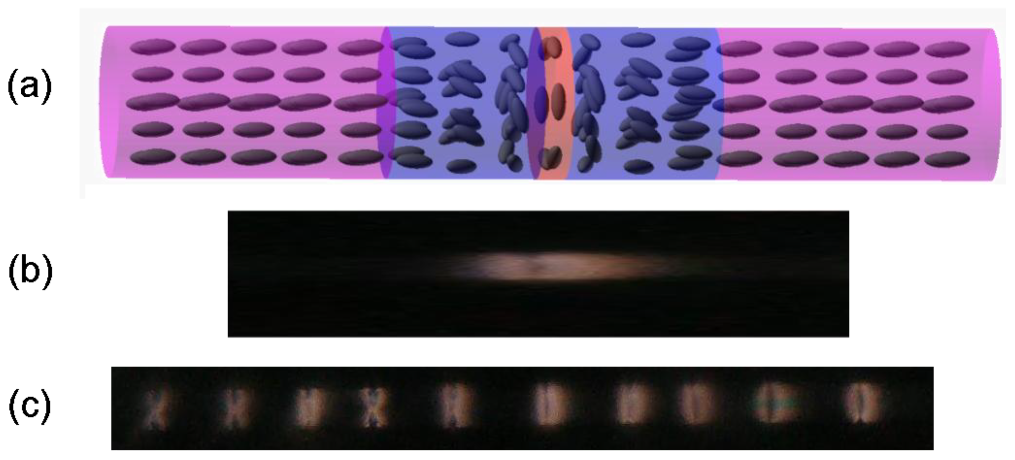 Electrical Modification of Self-Assembled Polymer-Stabilized Periodic ...