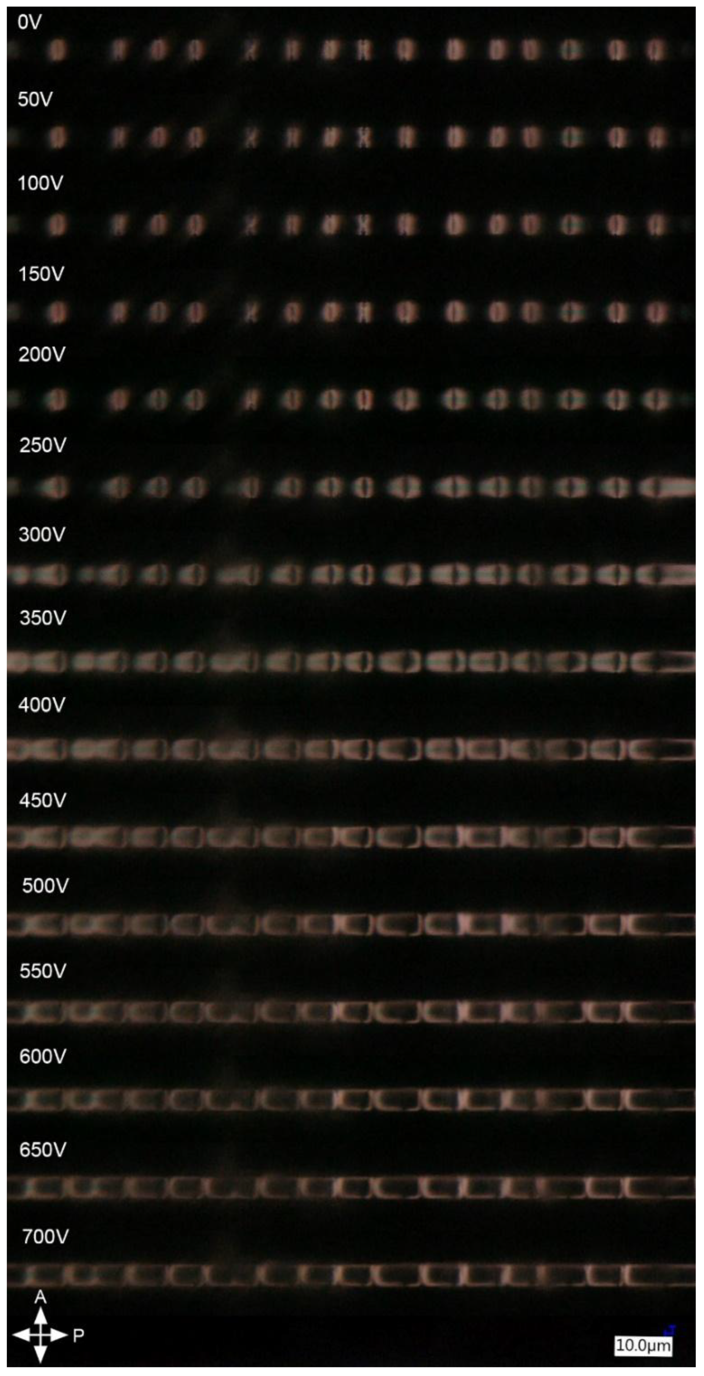 Electrical Modification of Self-Assembled Polymer-Stabilized Periodic ...