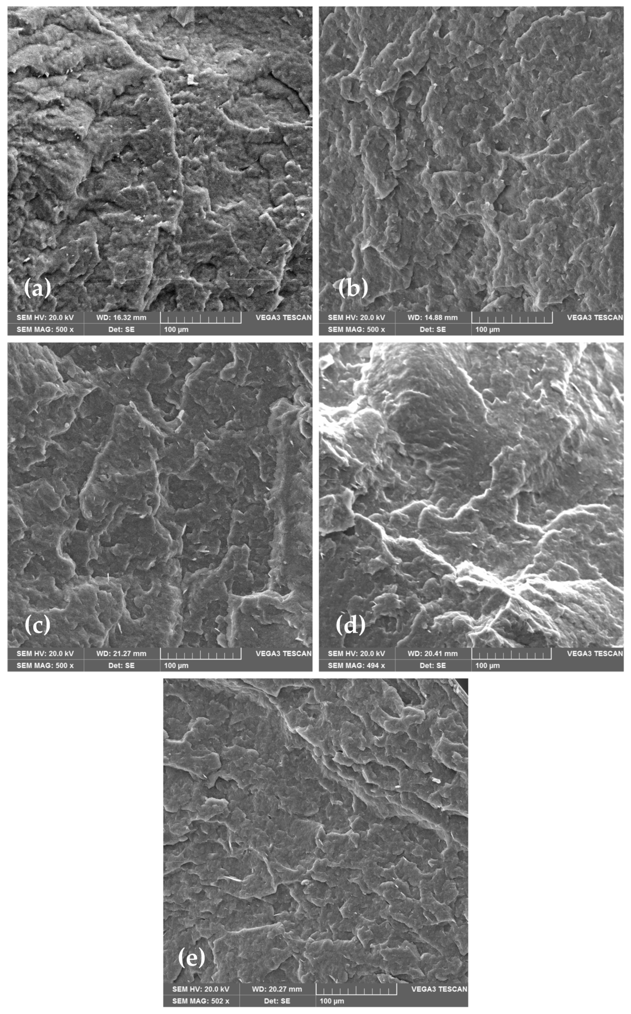 Thermal, Mechanical, and Barrier Properties of PHBV Nanocomposites via ...