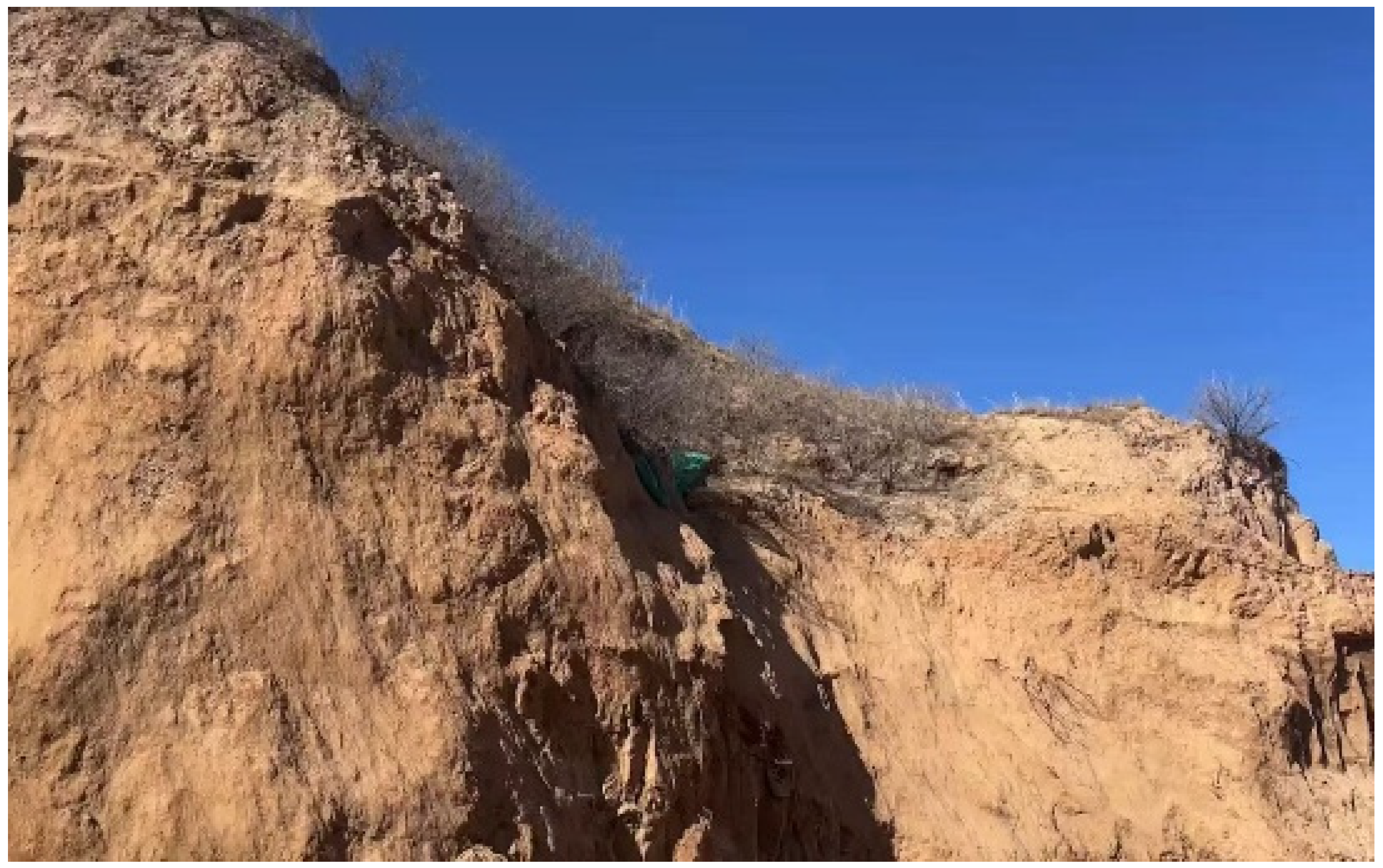 Crack Development and Healing in Guar Gum Polymer–Modified Silty Clay ...