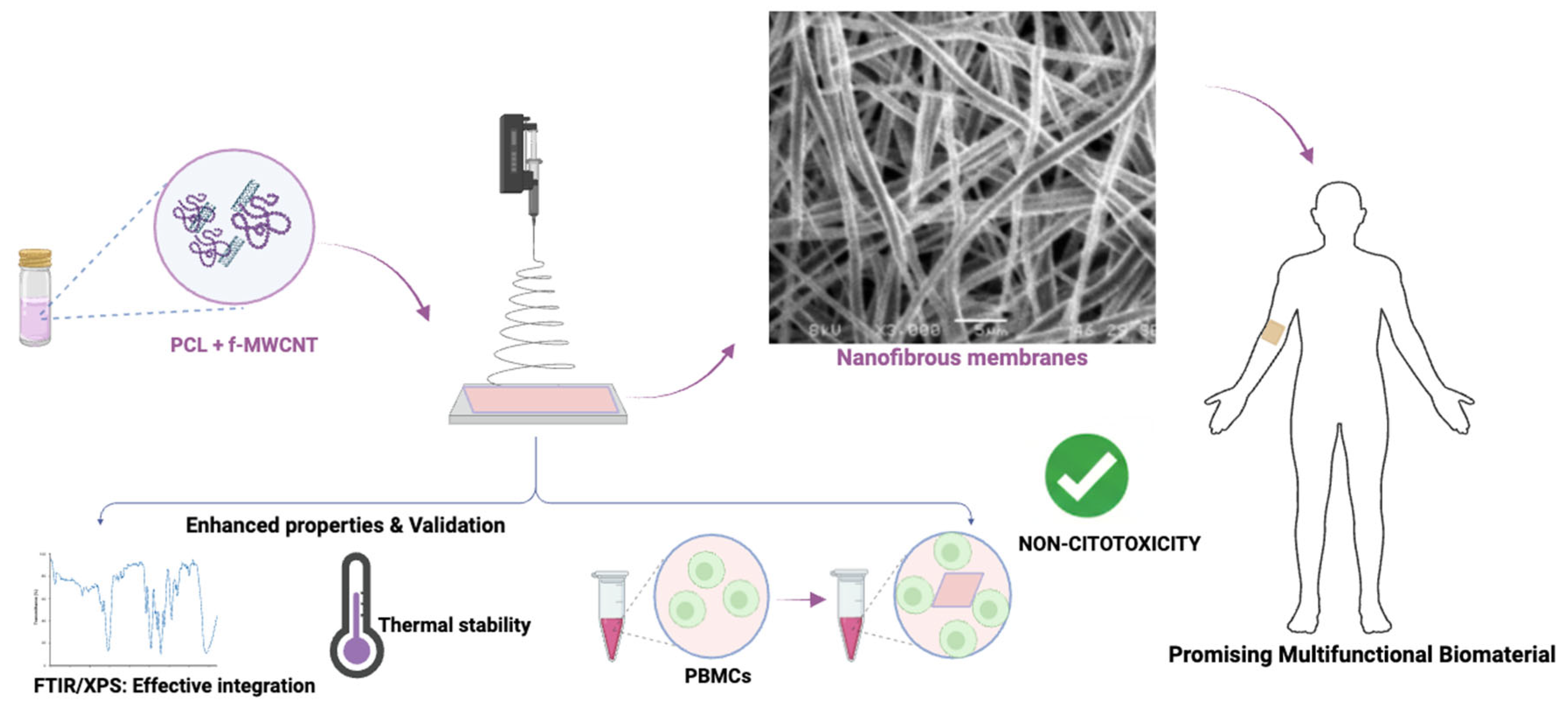 Electrospun Polycaprolactone/Carbon Nanotube Membranes for Transdermal ...