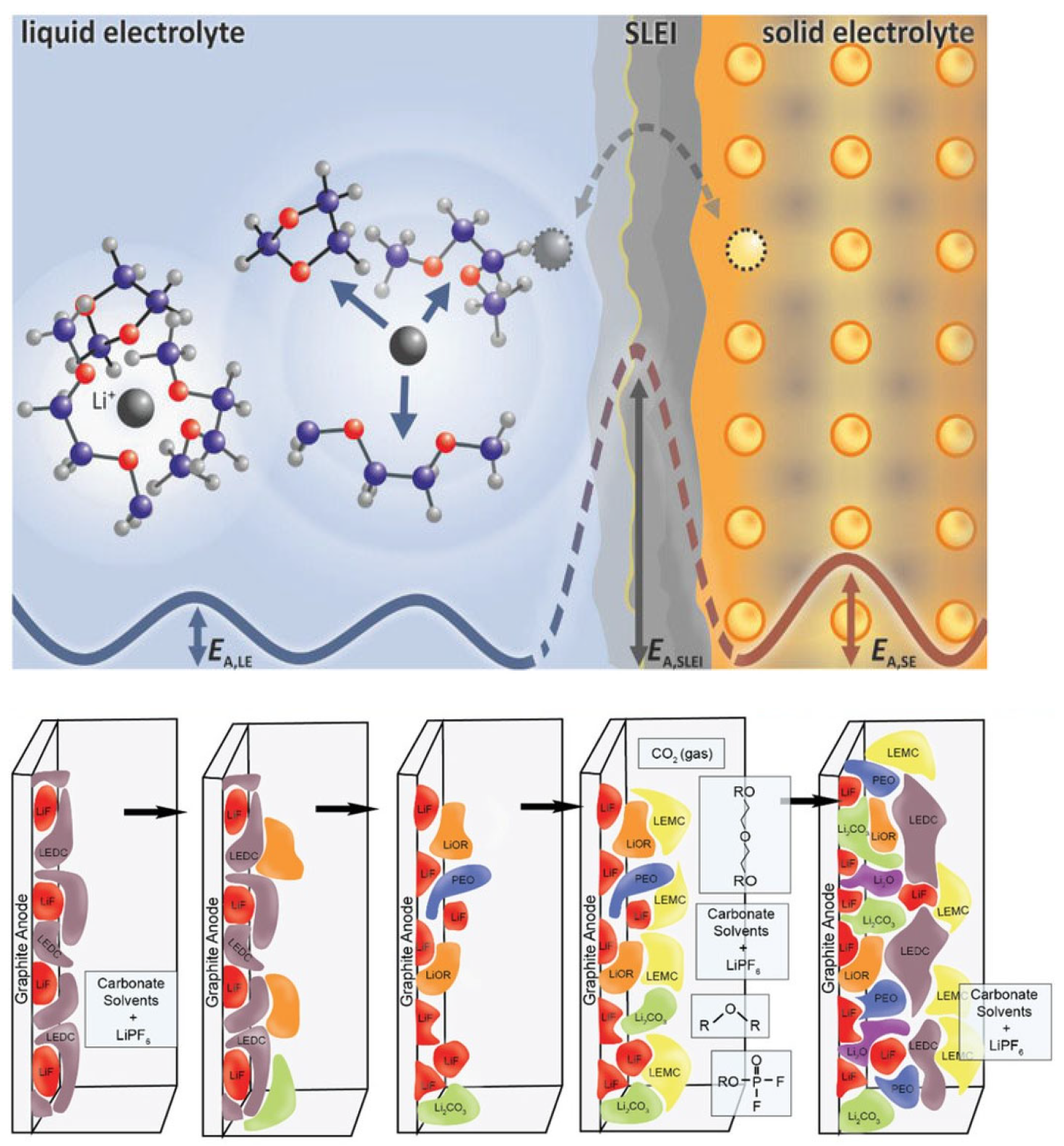 PEDOT:PSS as a Bio-Solid Electrolyte Interphase for Neural Interfaces: From Molecular Design to ...