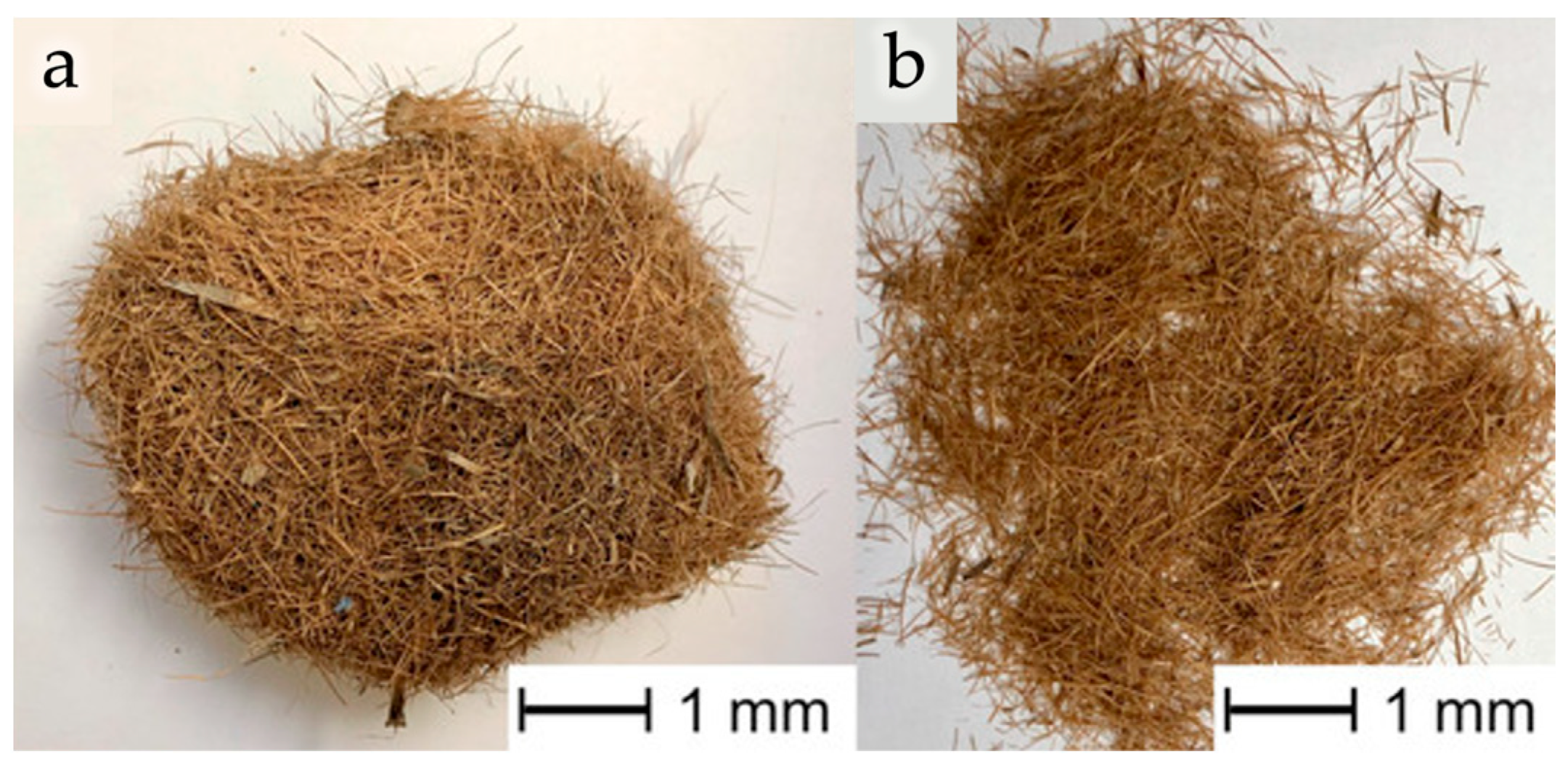 Plant- and Animal-Derived Organic Waste as Fillers in Biodegradable ...