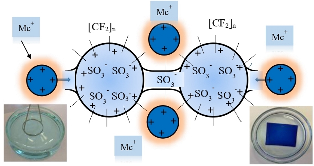 Rheology of Aqueous Solutions in the Presence of Proton Exchange ...