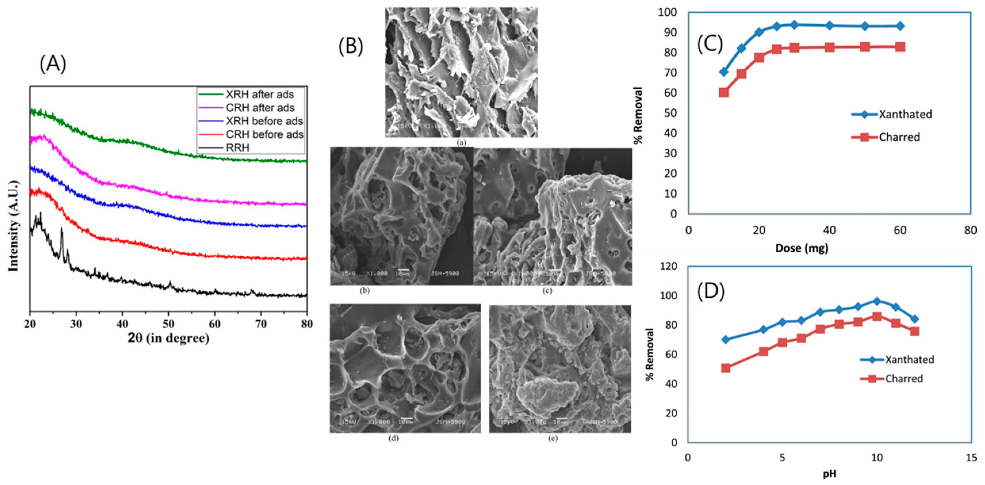 From Biomass to Adsorbent: A Comprehensive Review on Bio-Derived ...