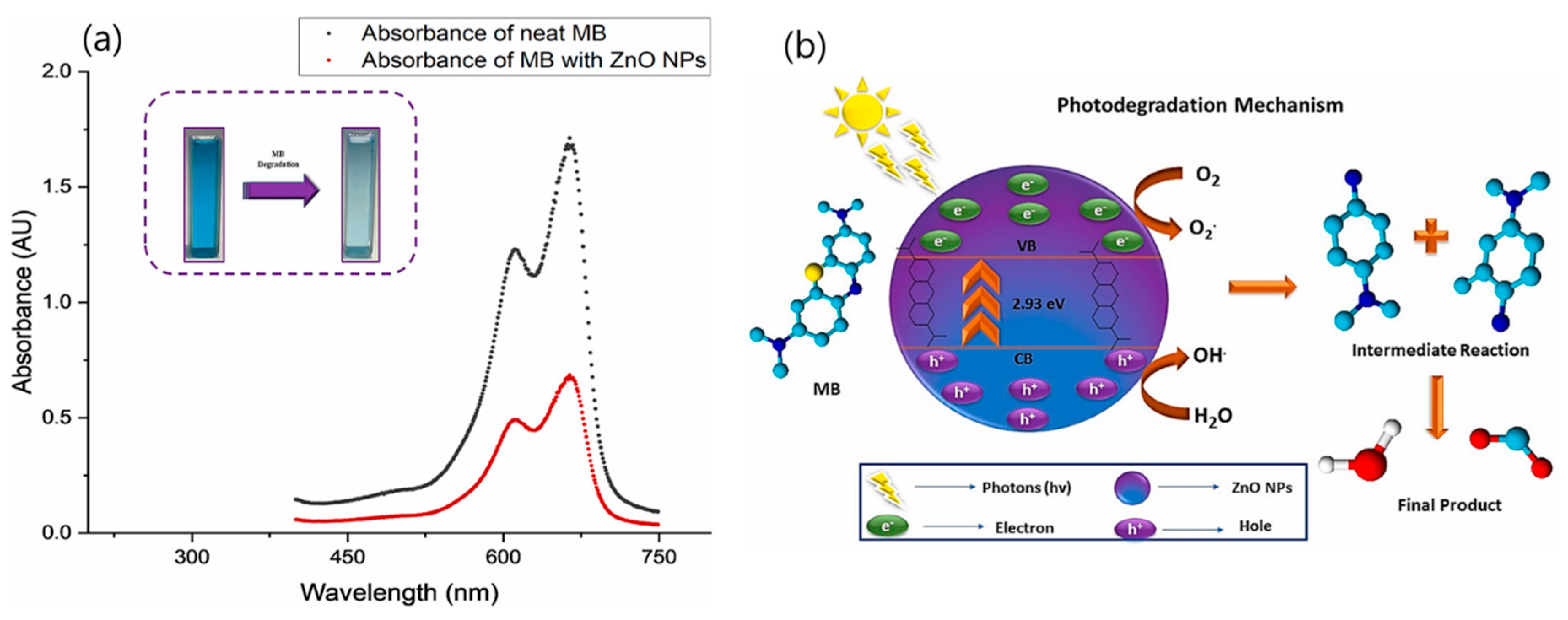 From Biomass to Adsorbent: A Comprehensive Review on Bio-Derived ...