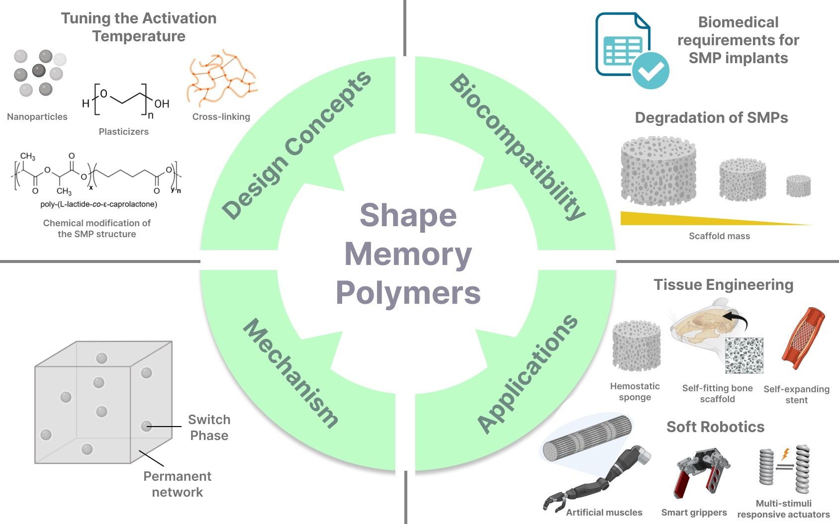 Advanced Design Concepts for Shape-Memory Polymers in Biomedical ...