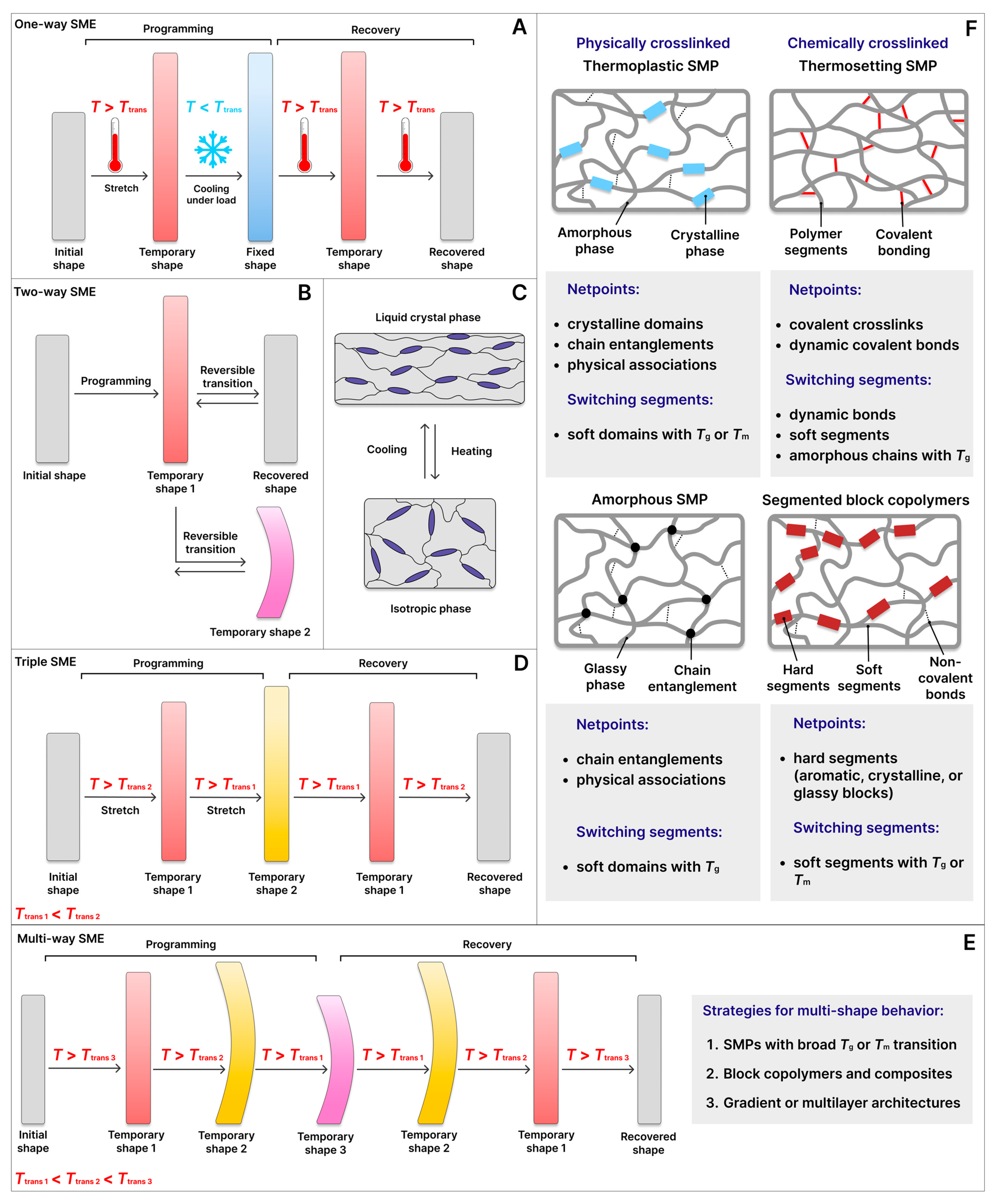 Advanced Design Concepts for Shape-Memory Polymers in Biomedical ...