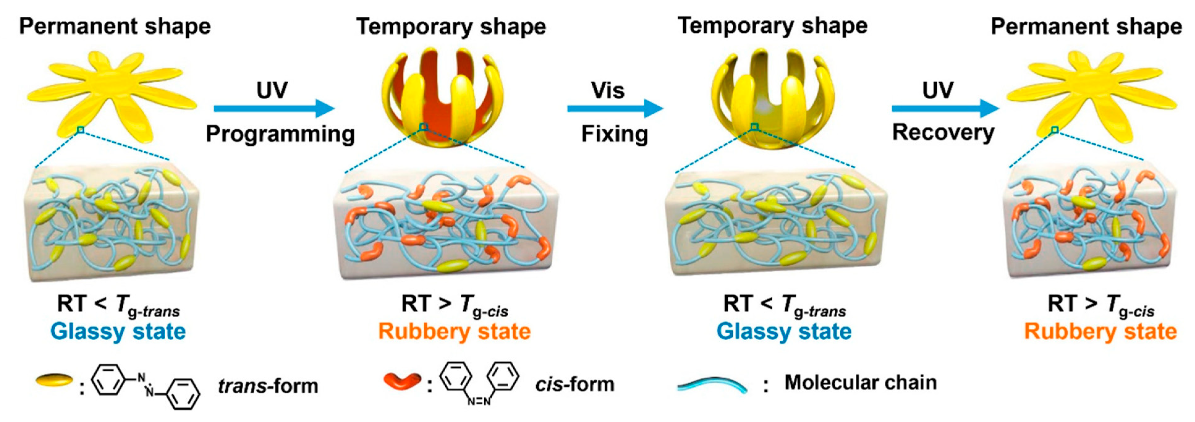 Advanced Design Concepts for Shape-Memory Polymers in Biomedical ...