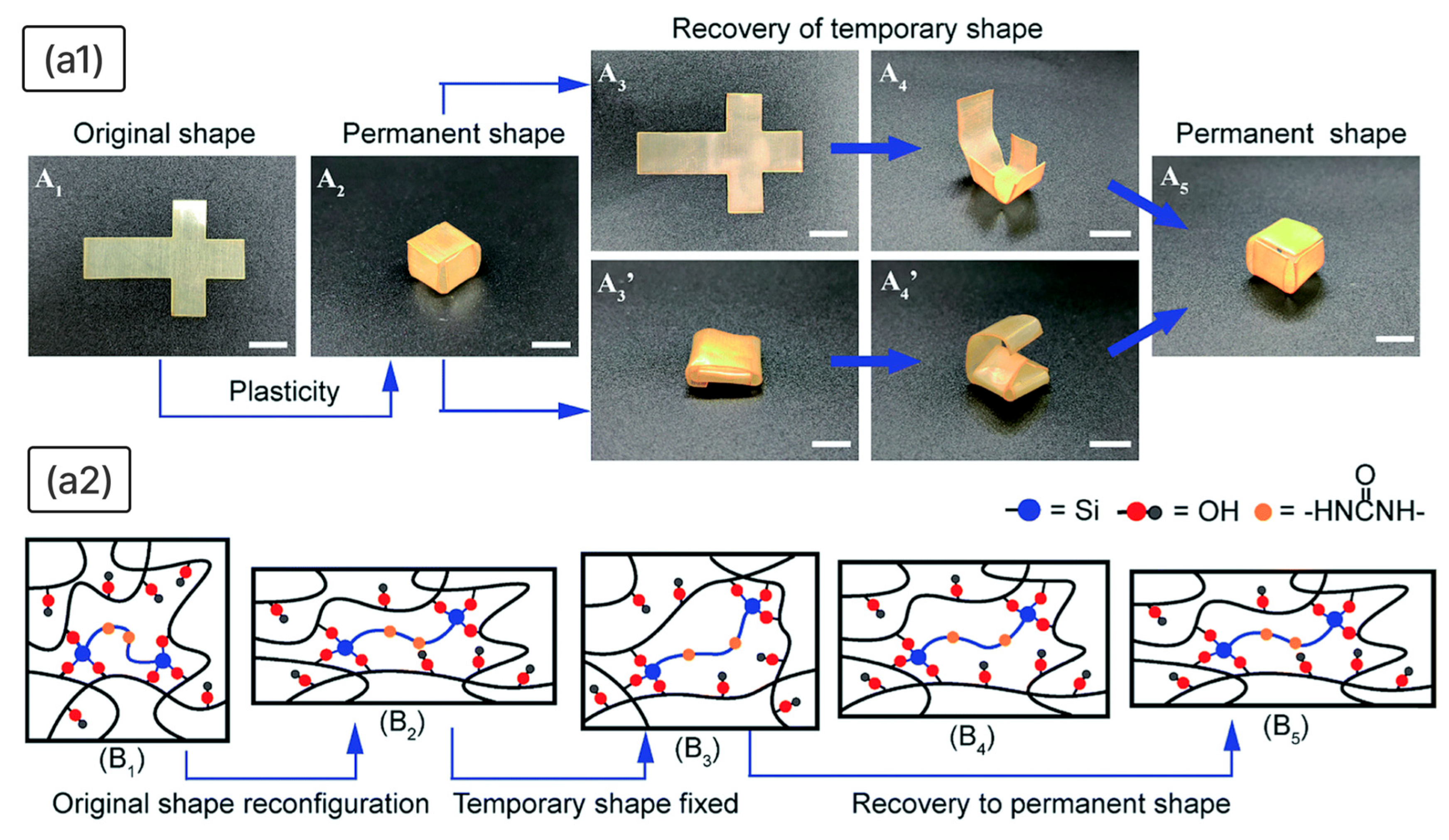 Advanced Design Concepts for Shape-Memory Polymers in Biomedical ...
