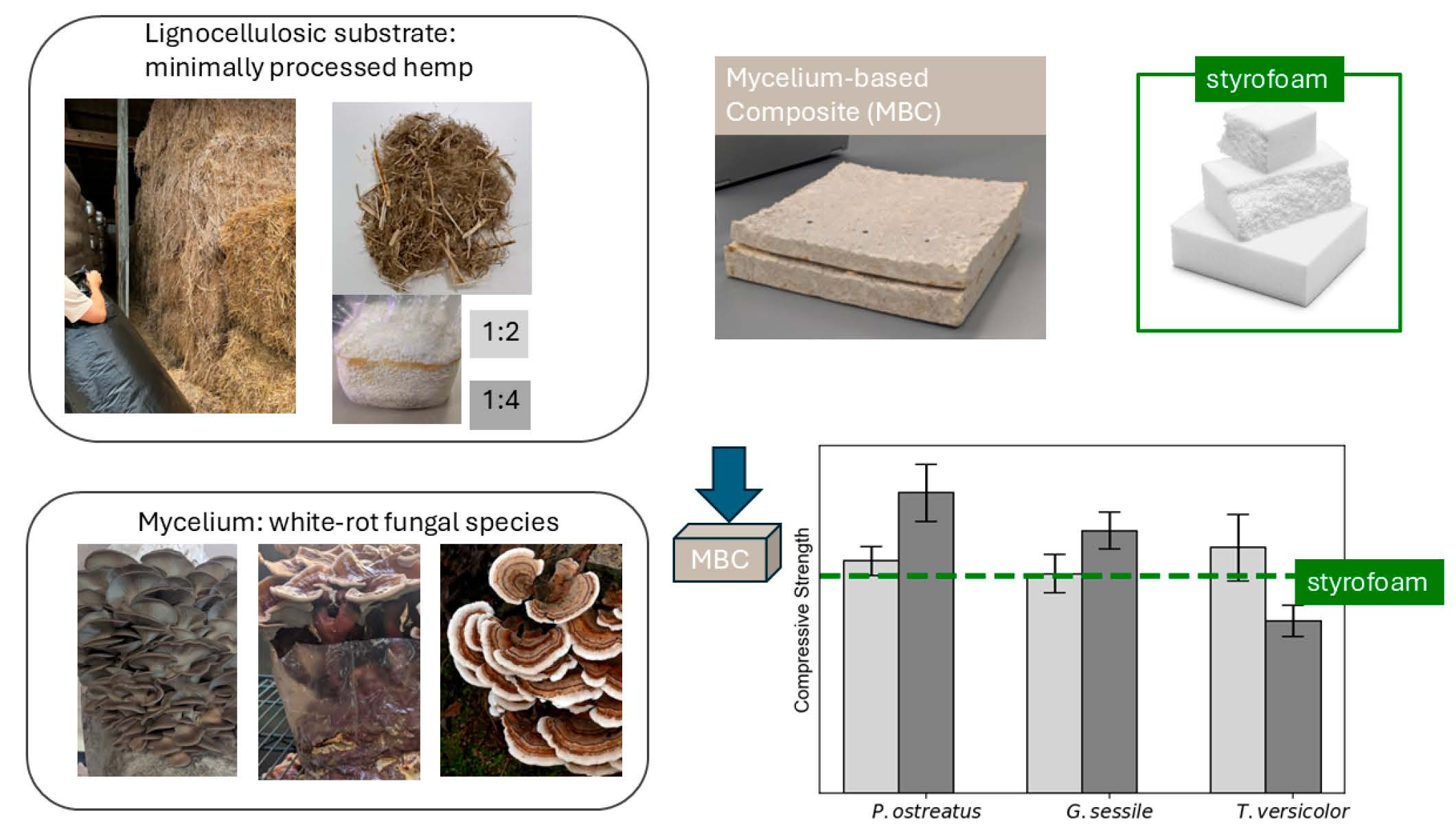 Mycelium-Based Composites Using Minimally Processed Industrial Hemp ...