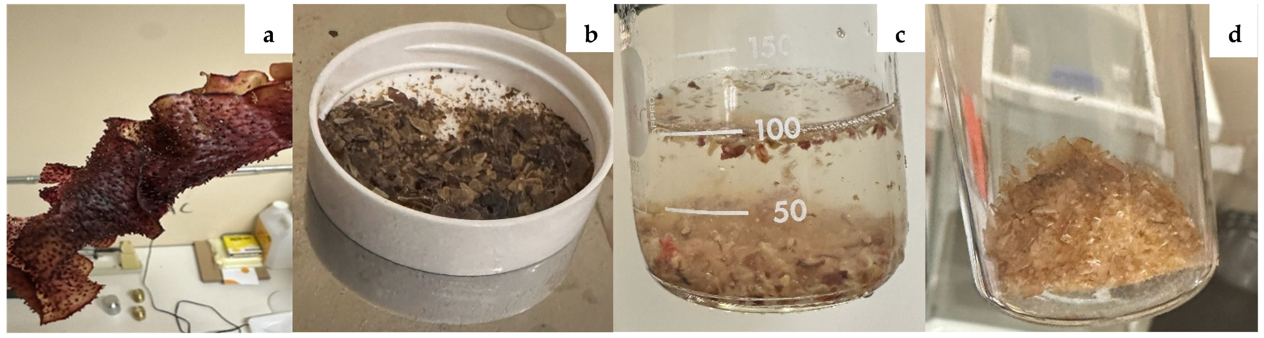 Development of Sustainable Red Algae–Sisal Fiber Composite Films via ...