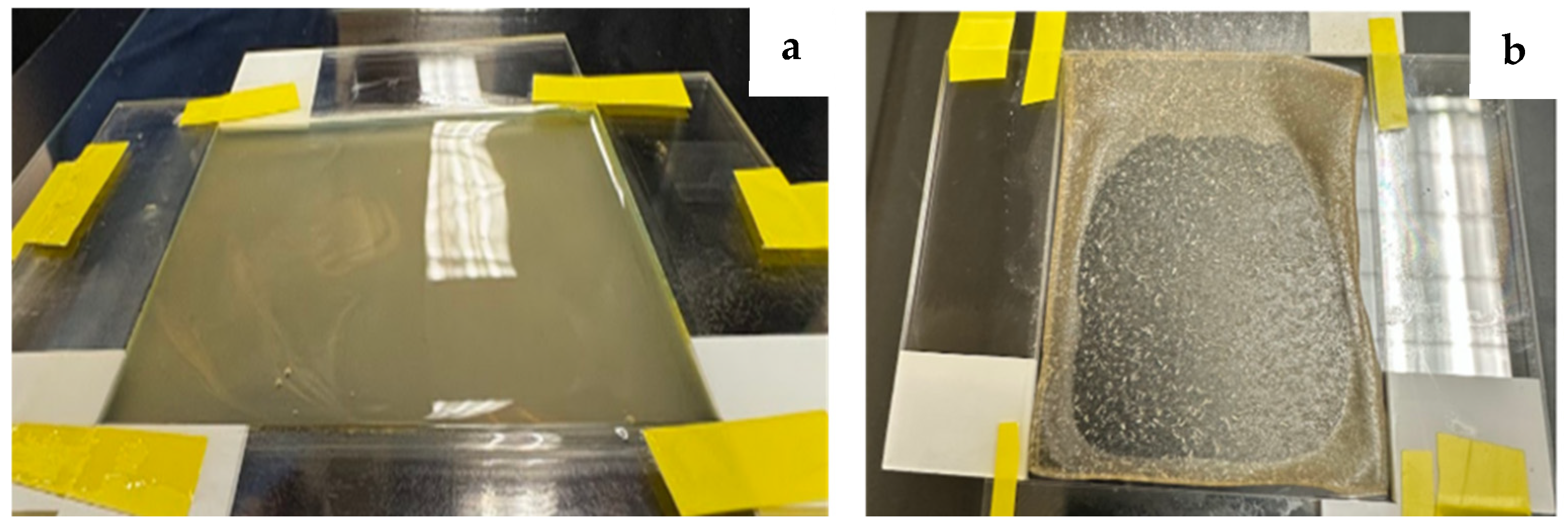 Development of Sustainable Red Algae–Sisal Fiber Composite Films via ...