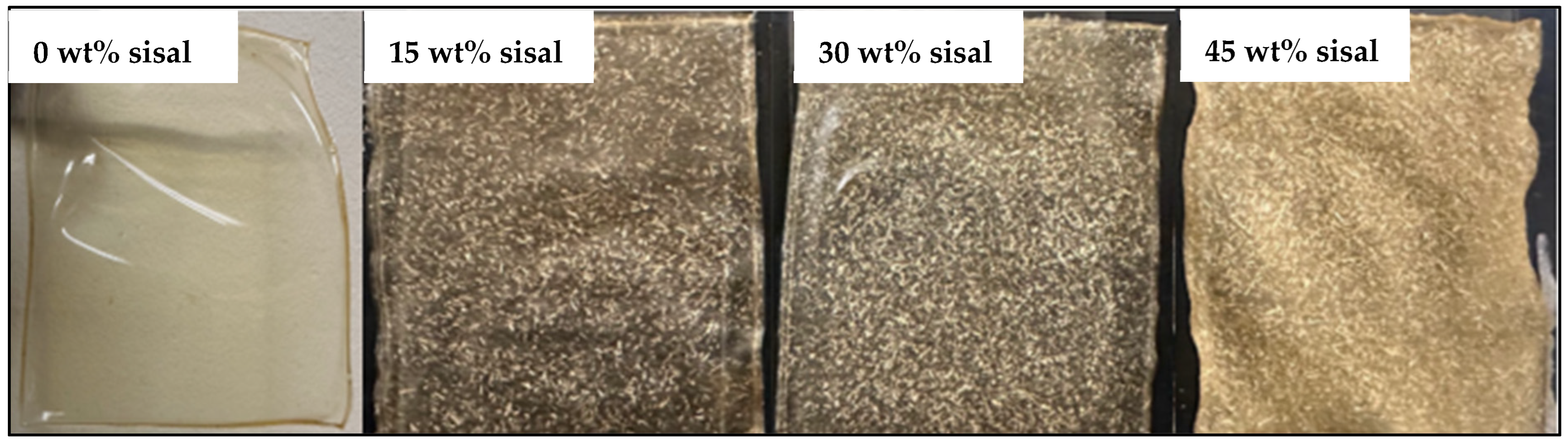 Development of Sustainable Red Algae–Sisal Fiber Composite Films via ...