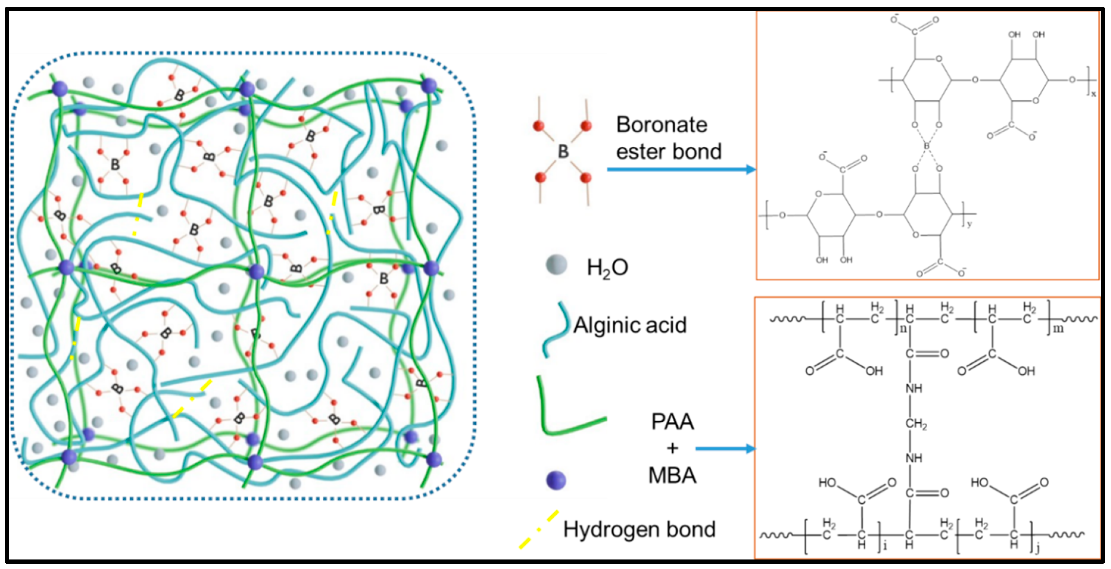 Natural Polymer-Based Mechanically Strong Hydrogel with Fast Self ...