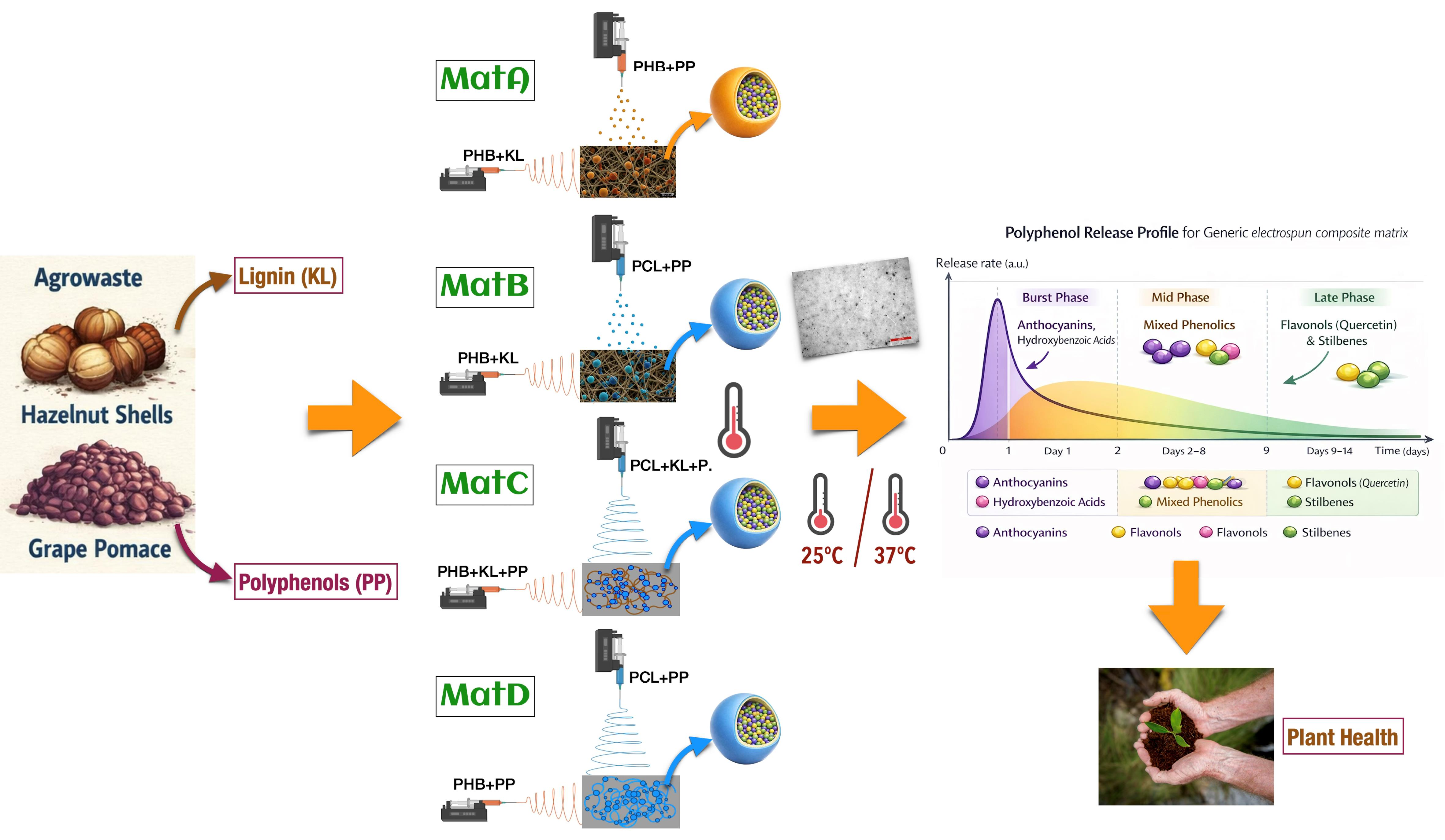 Agro-Industrial Biowaste Valorisation by Engineering Controlled-Release ...