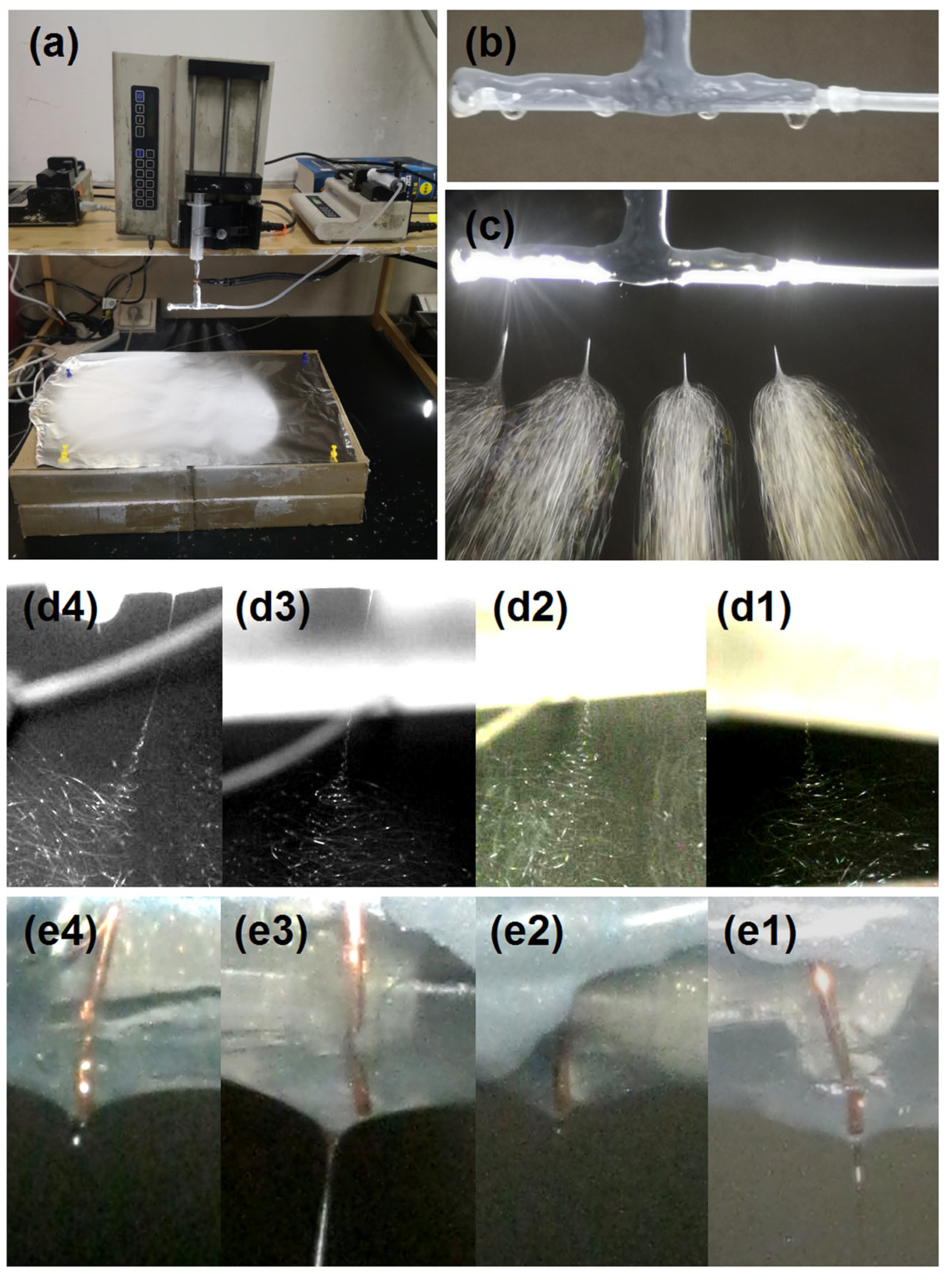 Fast Dissolving Resveratrol–Polyvinylpyrrolidone Nanofibrous Films ...