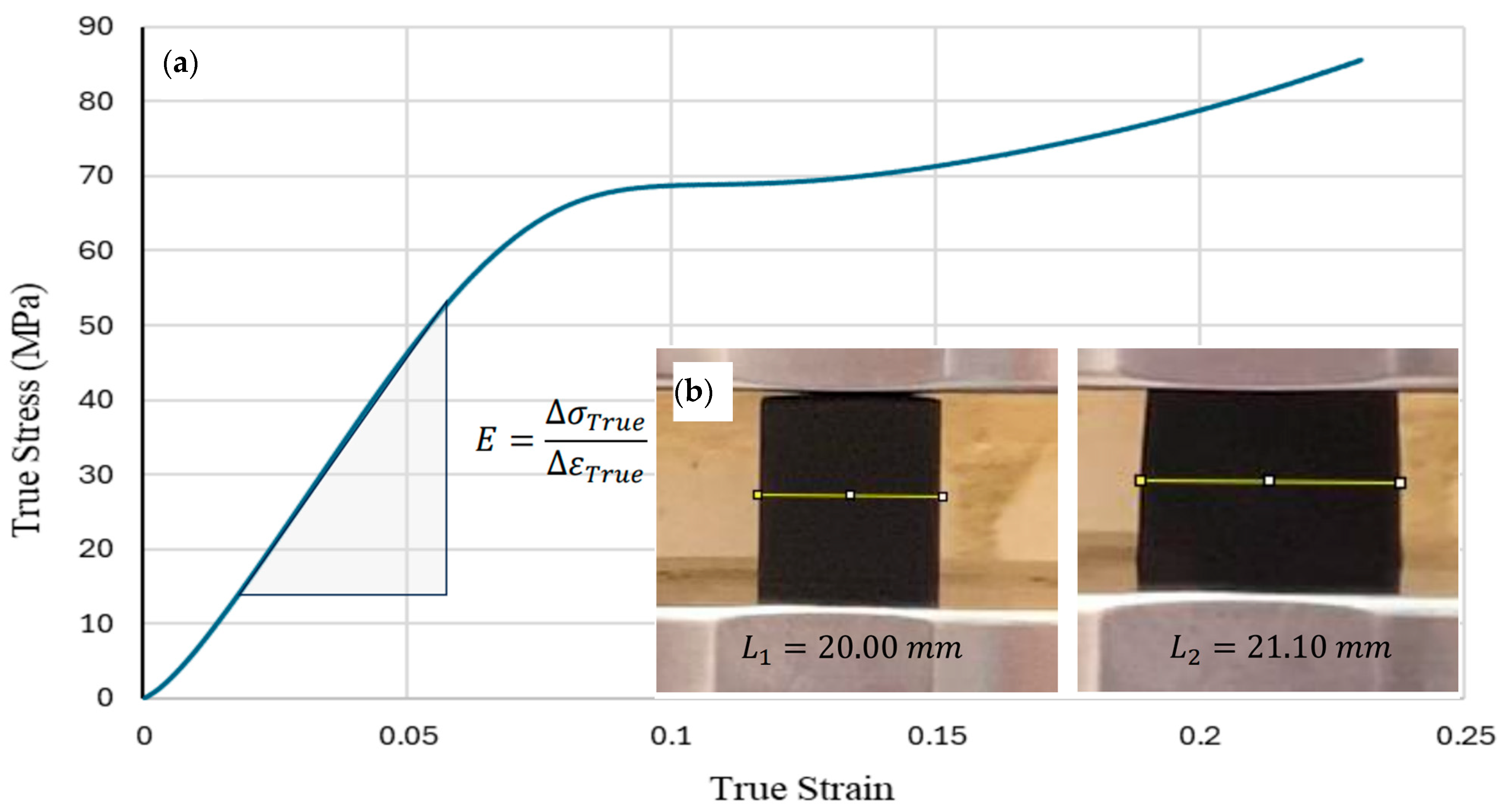 Hollow Auxetic Polymer Structures with Manufacturing-Constrained Design ...