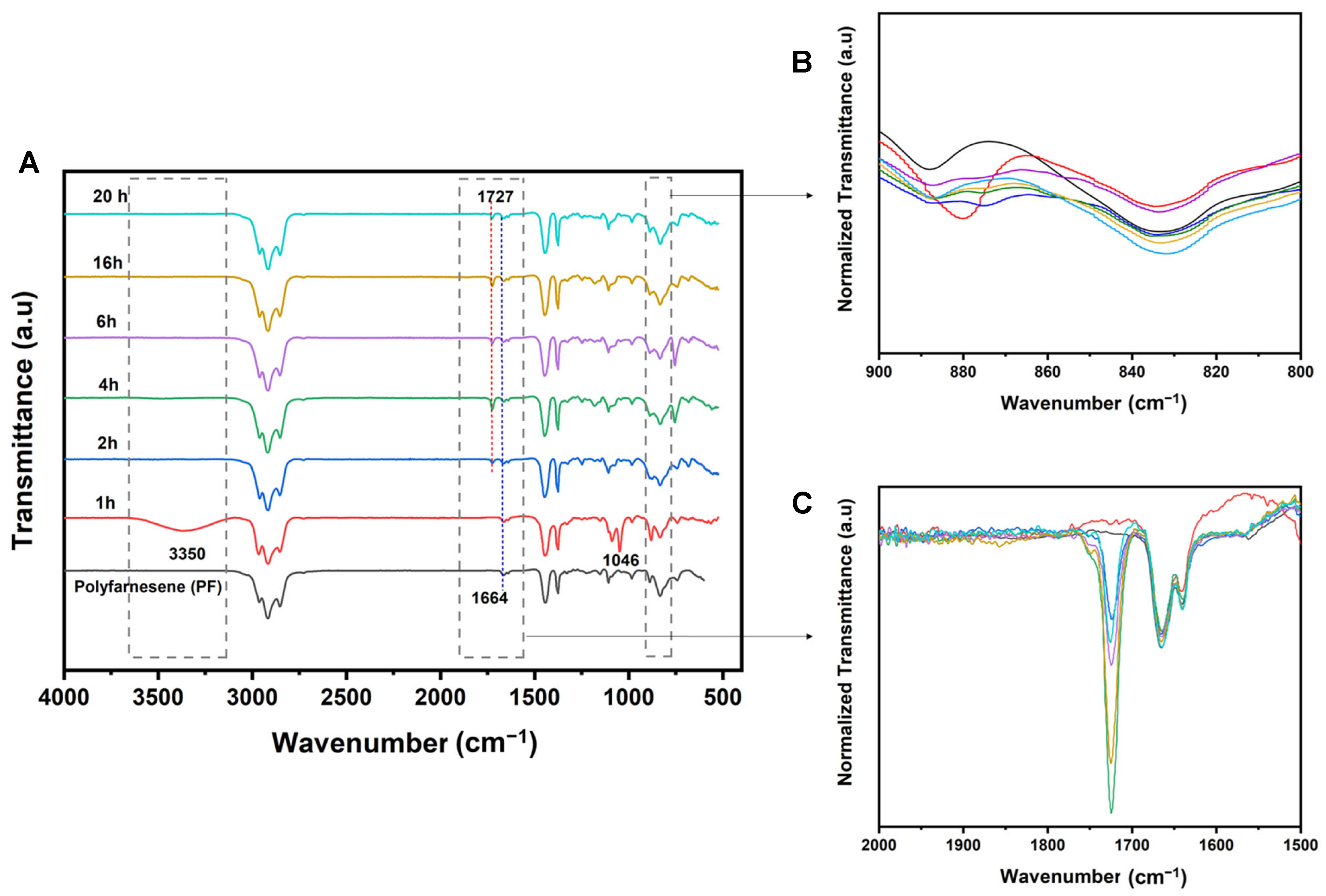 In Situ Performic Acid Epoxidation of Polyfarnesene: Evidence of ...