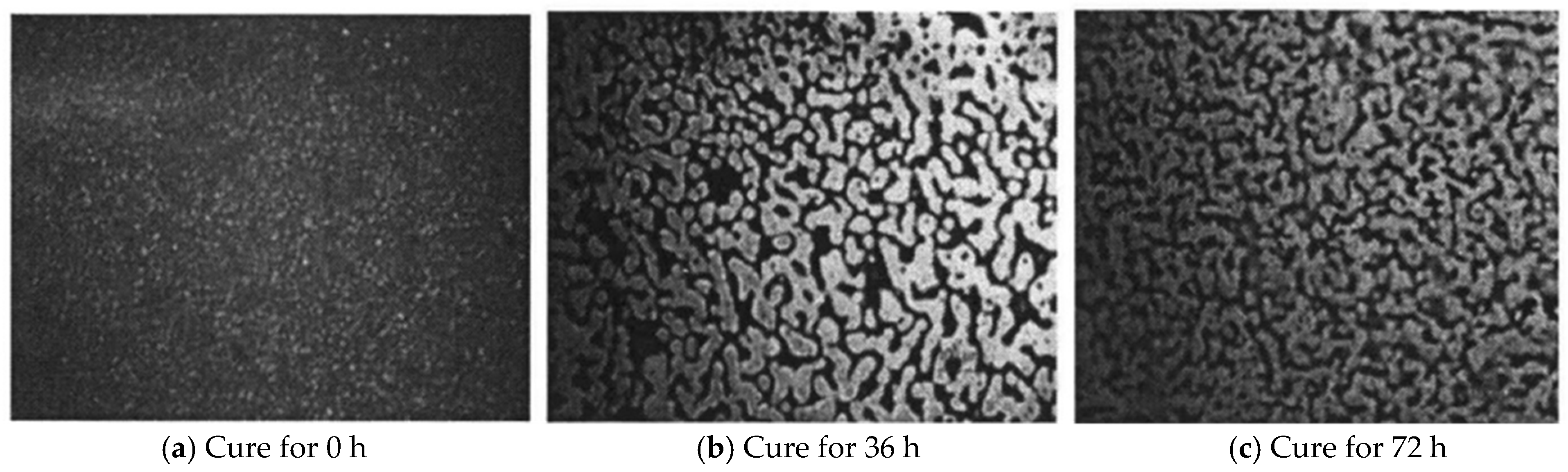 Development and Performance Evaluation of a Novel Epoxy-Modified ...