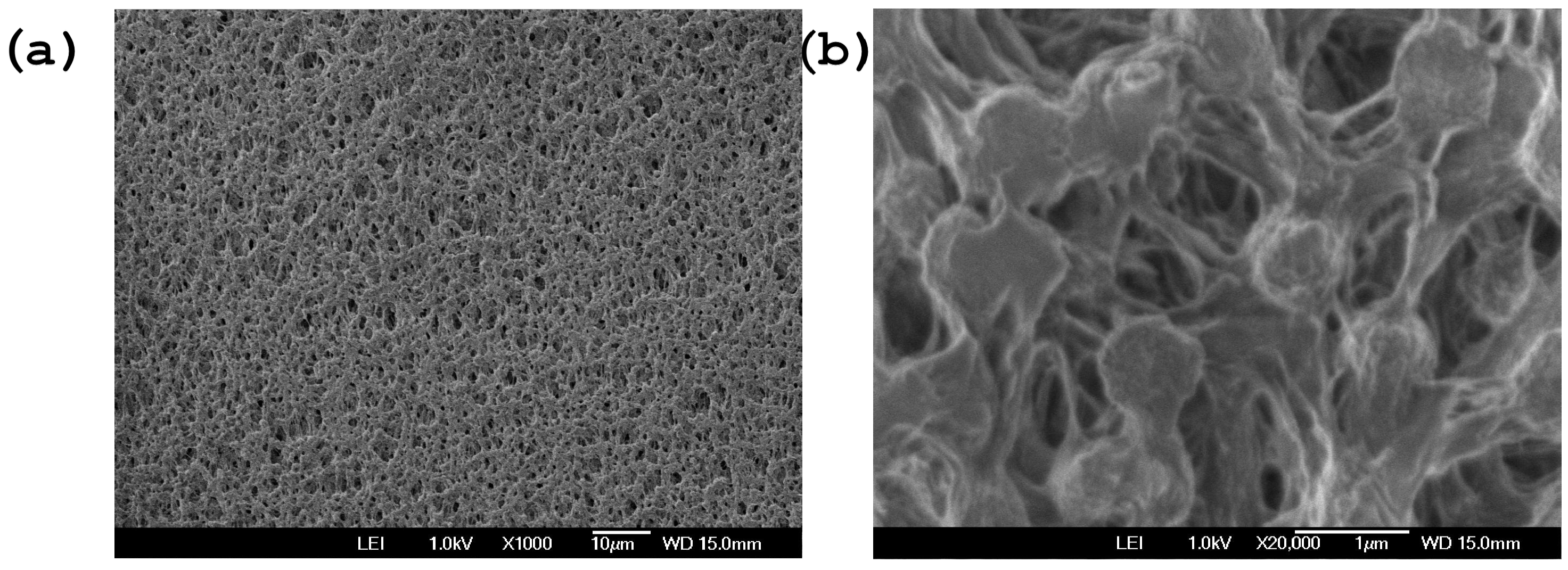 Photoacoustic Permeability Detection to Both Water Vapor and Artificial ...