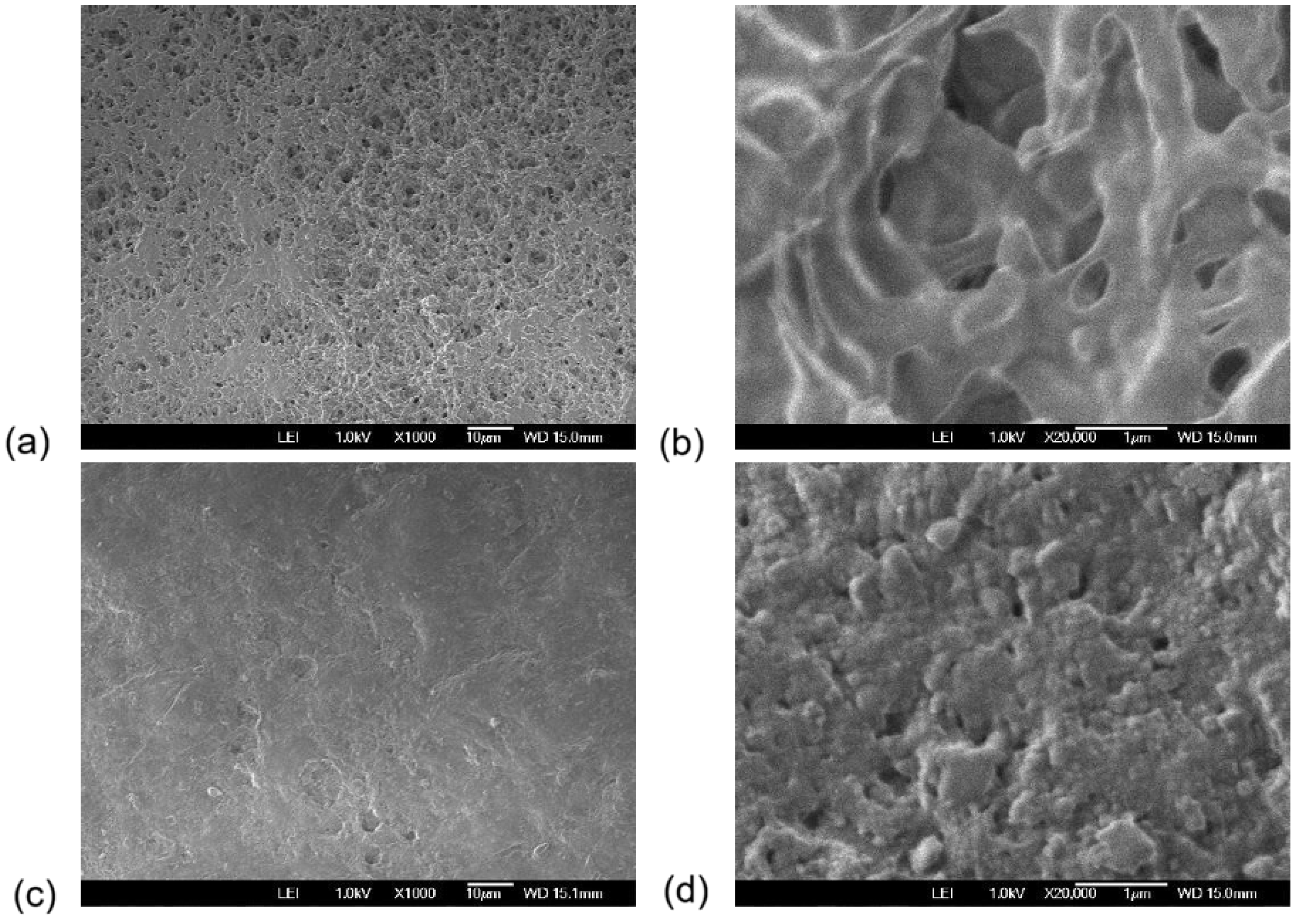 Photoacoustic Permeability Detection to Both Water Vapor and Artificial ...