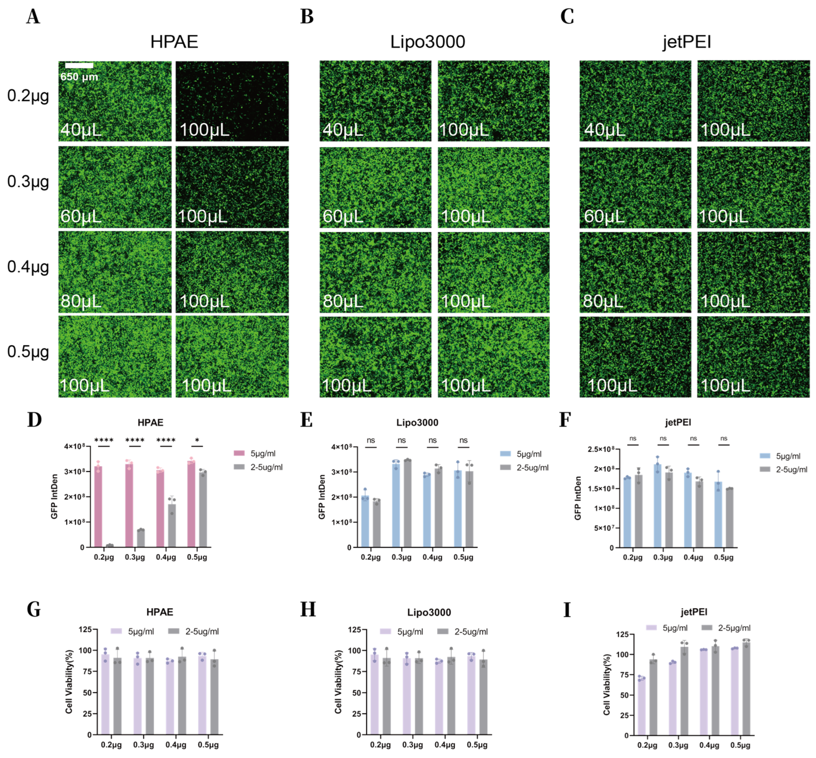 Concentration of DNA at the Cell Surface Dictates Transfection Efficacy ...