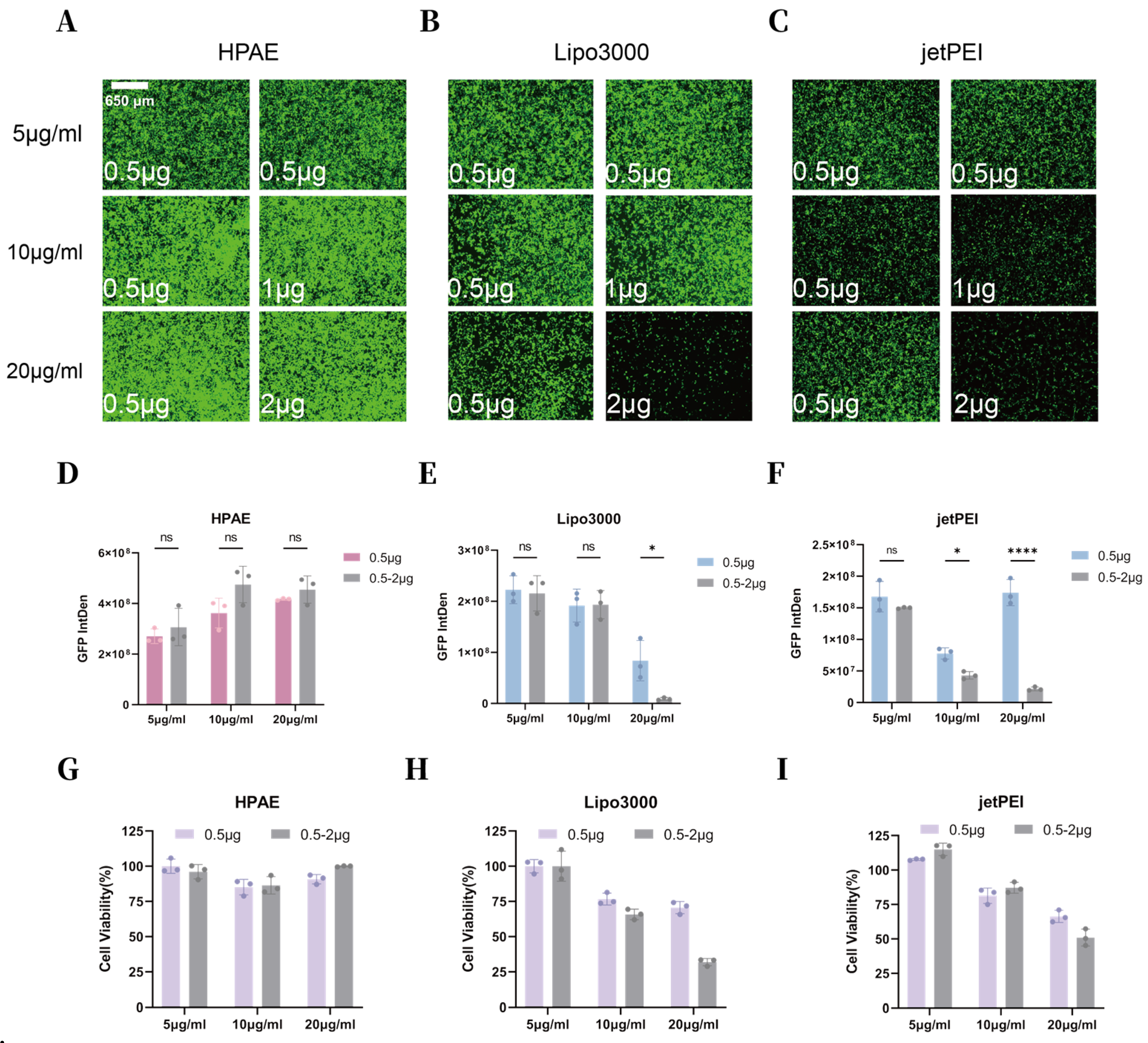 Concentration of DNA at the Cell Surface Dictates Transfection Efficacy ...