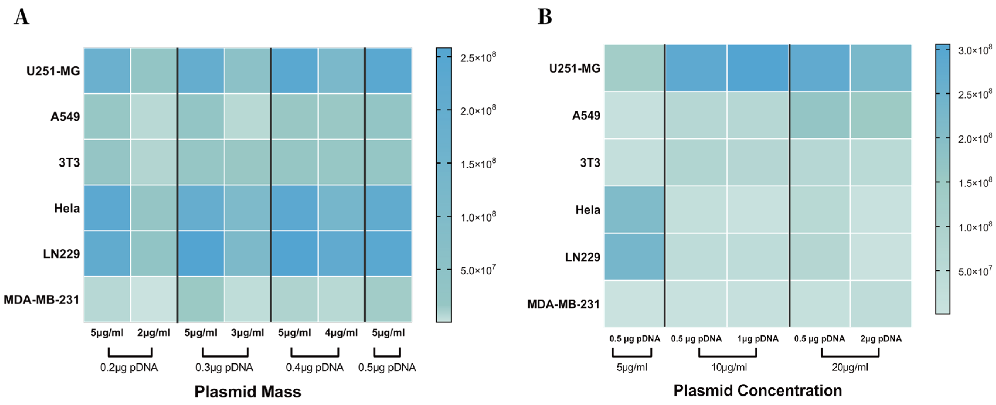 Concentration of DNA at the Cell Surface Dictates Transfection Efficacy ...