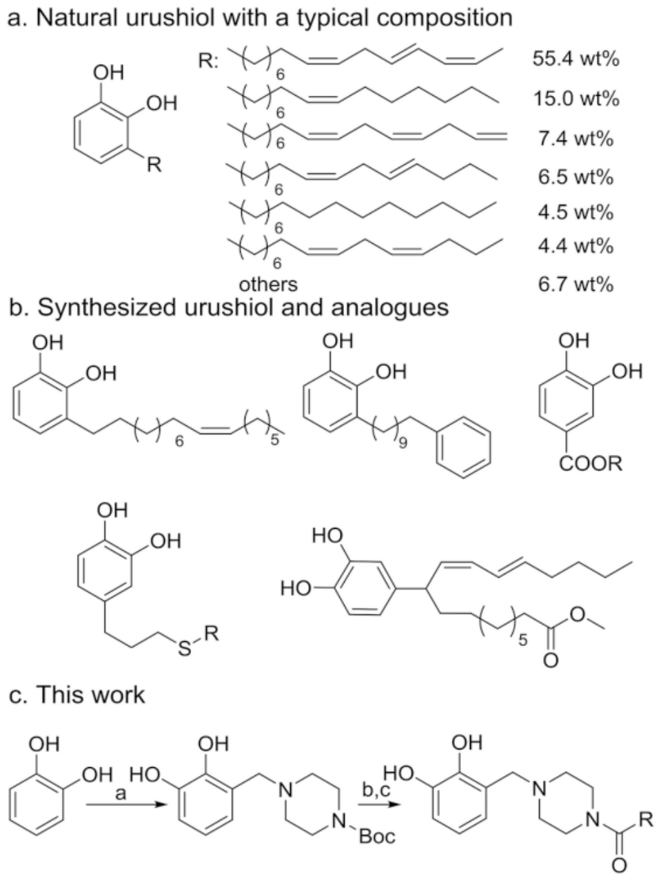 Advances in the Chemical Properties and Functional Applications of ...
