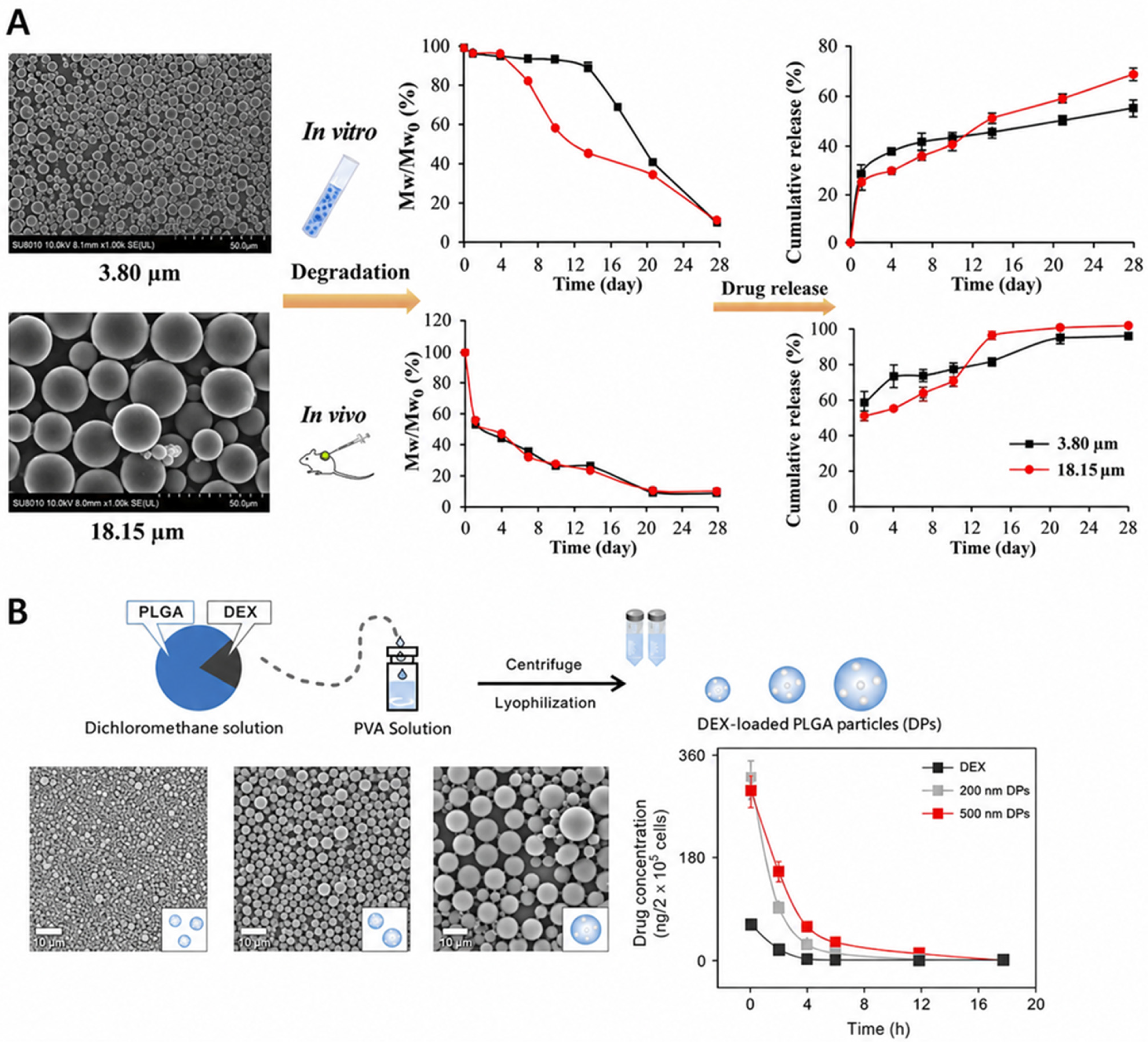 Electrosprayed PLGA Nanoparticles for Dual Drug Delivery: Design ...