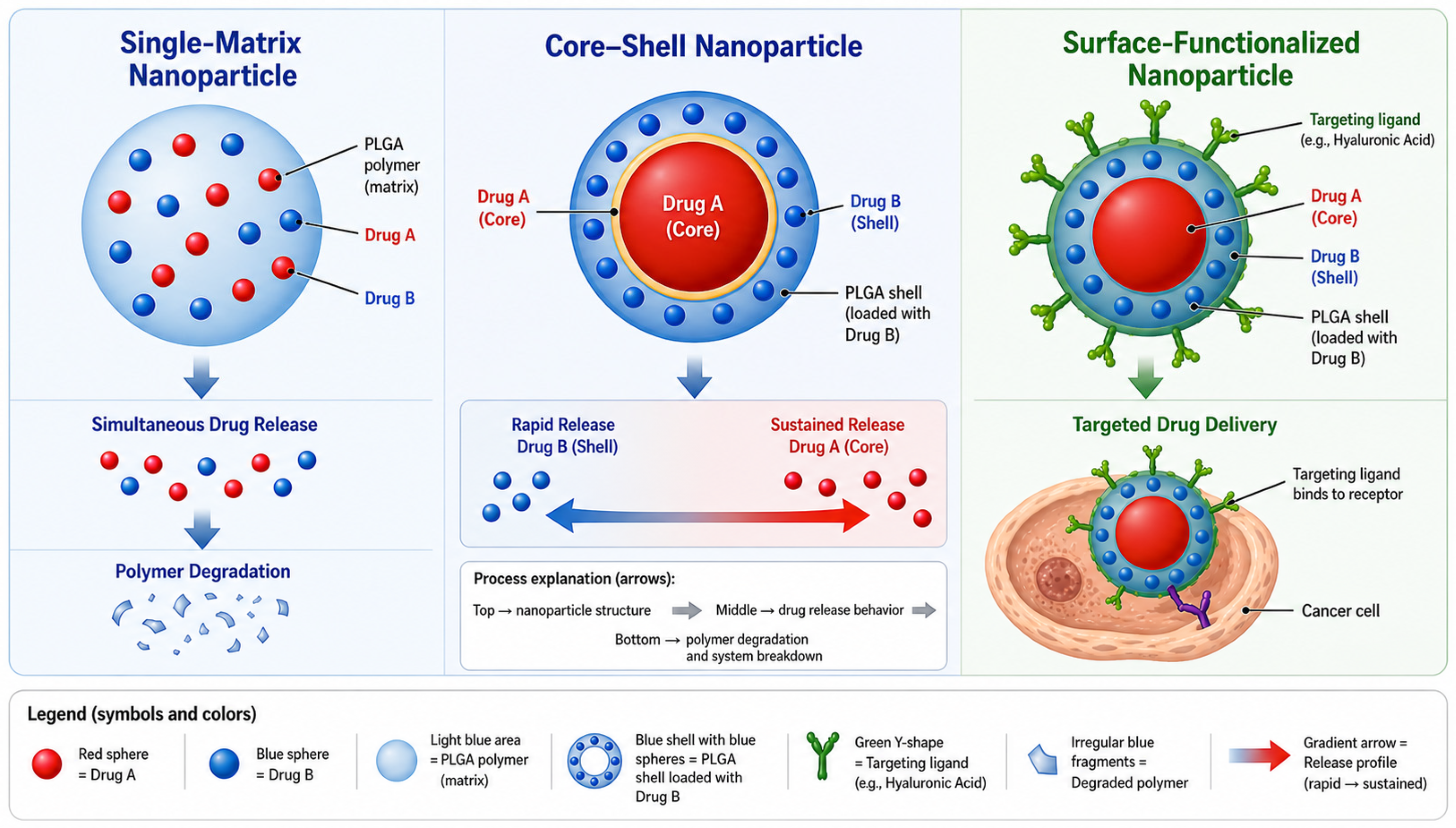 Electrosprayed PLGA Nanoparticles for Dual Drug Delivery: Design ...