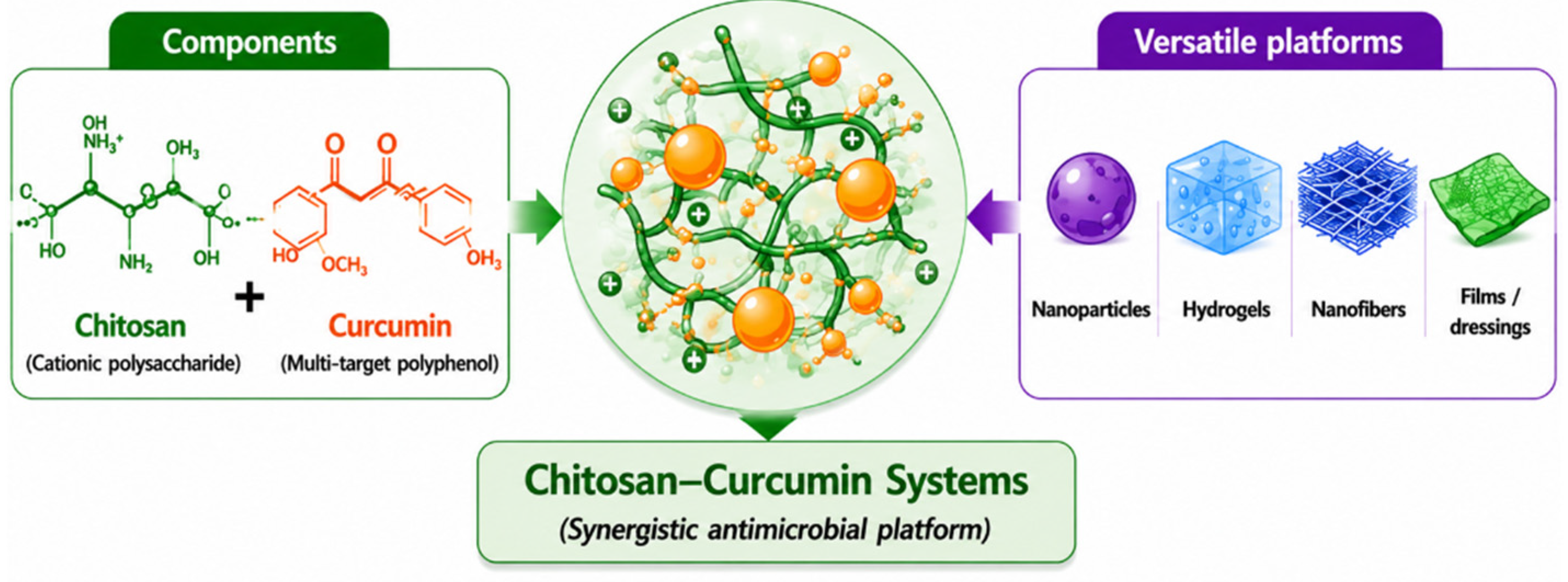Chitosan–Curcumin Bioactive Platforms: Mechanistic Synergy ...