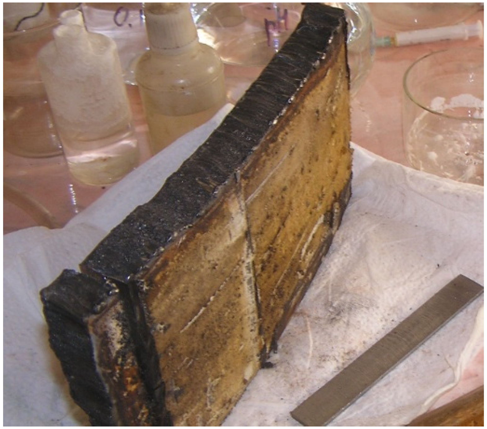 Creation of Polymeric Organosilicon Layers on the Surface of Pipeline ...