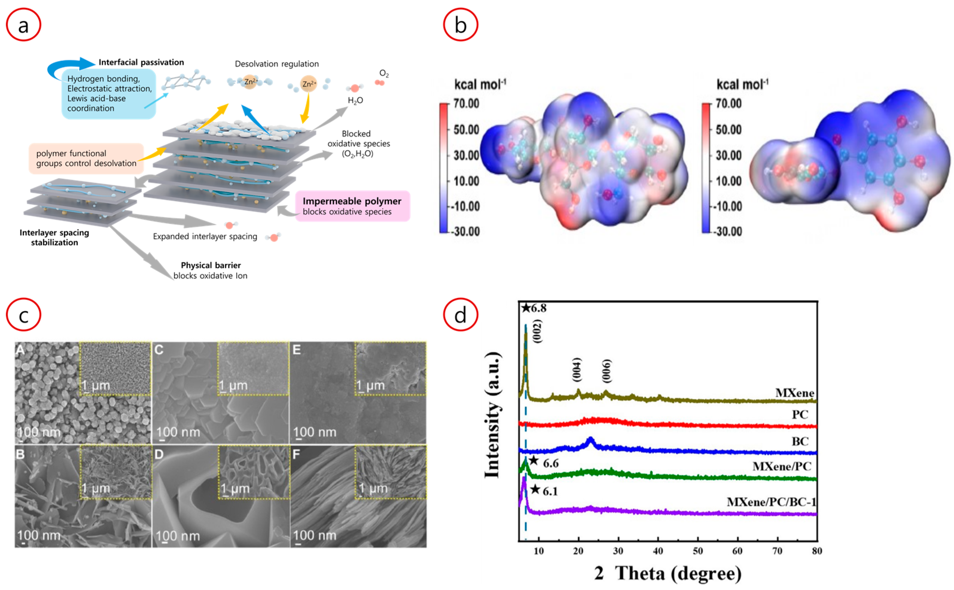 Polymer-Engineered MXene Composites for Durable Electrochemical Energy ...