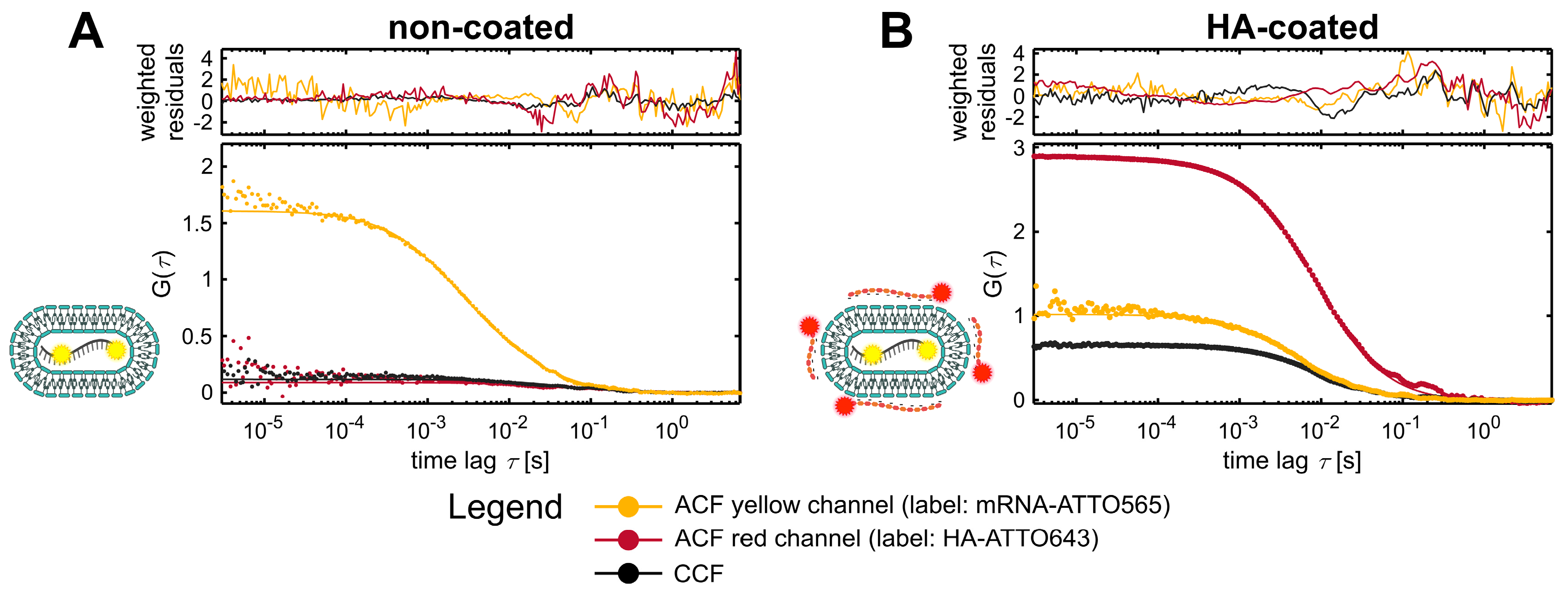 mRNA Delivery by Lipoamino Fatty Acid–Peptide Polyplexes in Different ...