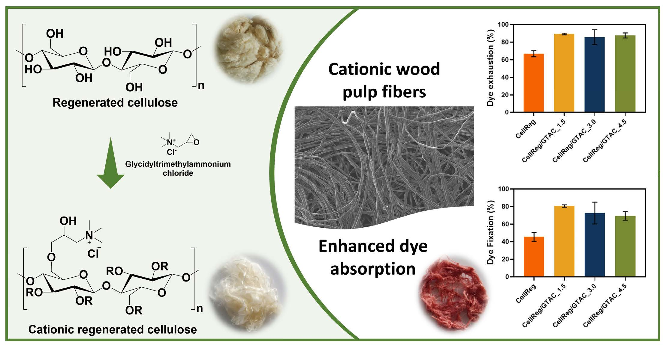 Cellulose Cellulose