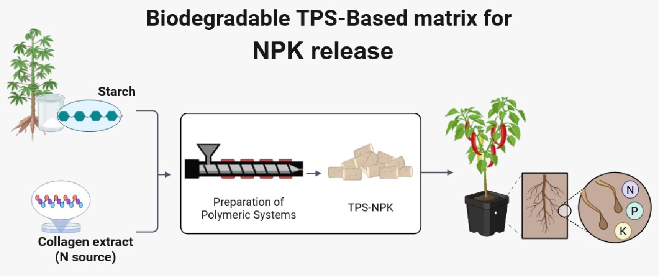 Sustainable Biodegradable Starch–Collagen Polymeric Systems ...