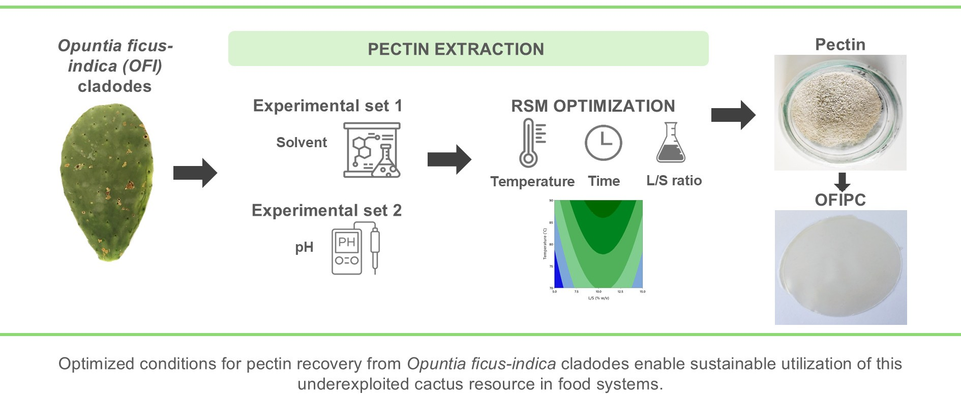 Pectin Extraction from Opuntia spp. Cladodes: Process Optimization ...
