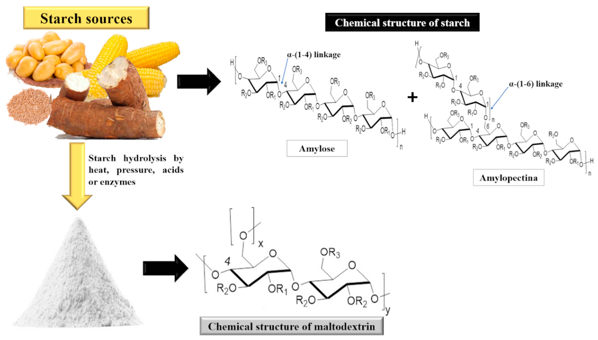 Food Polysaccharides as Stabilizers and Carriers for the Delivery of ...