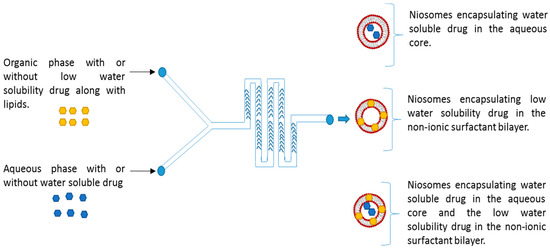 Comprehensive Screening of Drug Encapsulation and Co-Encapsulation into ...