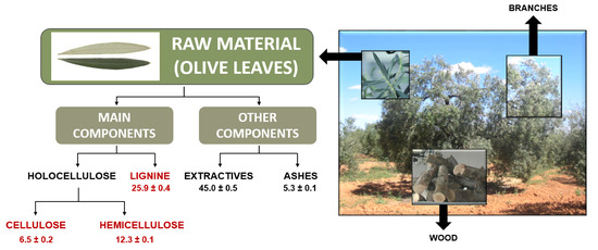 Acid Hydrolysis of Olive Tree Leaves: Preliminary Study towards ...