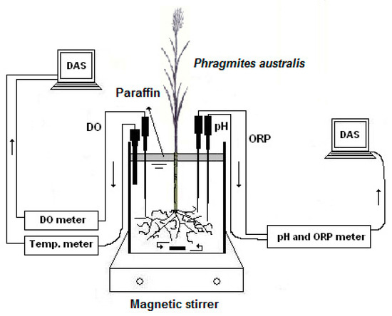Oxygen Transfer Capacity as a Measure of Water Aeration by Floating ...