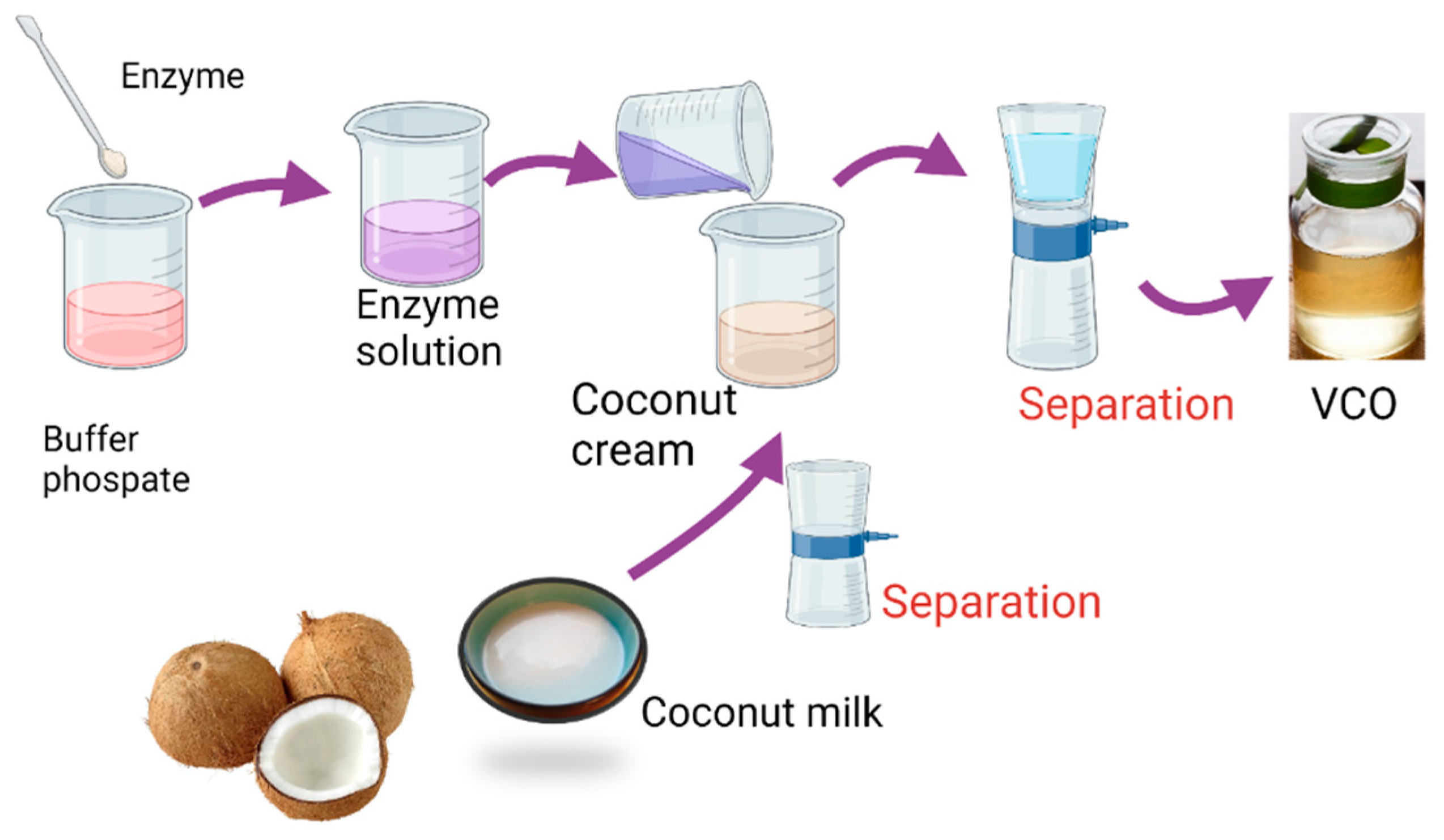 Papain Enzyme Assisted Extraction Of Virgin Coconut Oil As Candidate In Papain Enzyme Assisted Extraction Of Virgin Coconut Oil As Candidate In