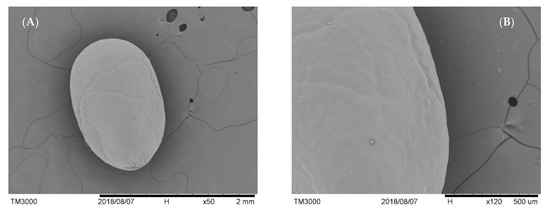 Combination of Ultrasound and Heat in the Extraction of Chia Seed (Salvia hispanica L.) Mucilage ...