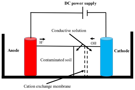 An Overview of Emerging Cyanide Bioremediation Methods