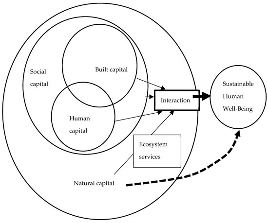 Processes | Free Full-Text | Basic Conceptual Structure for the ...