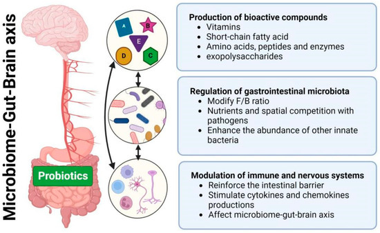 Review of the Potential of Probiotics in Disease Treatment: Mechanisms ...
